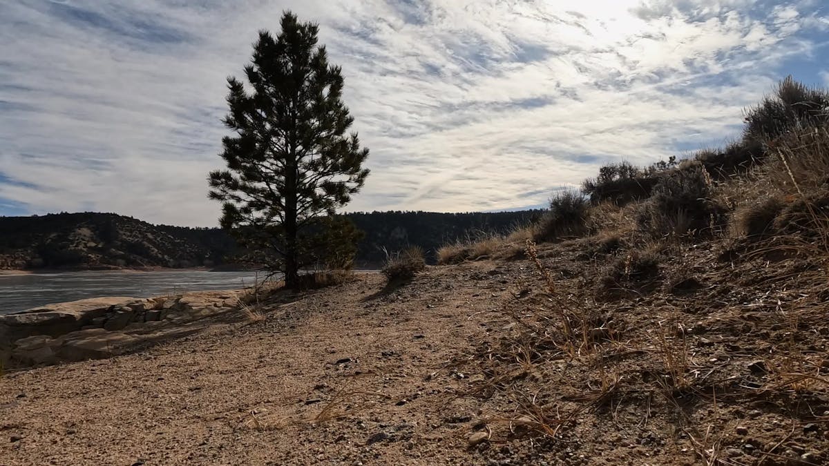 People+Humping+Each+Other Videos, Download The BEST Free 4k Stock Video ...