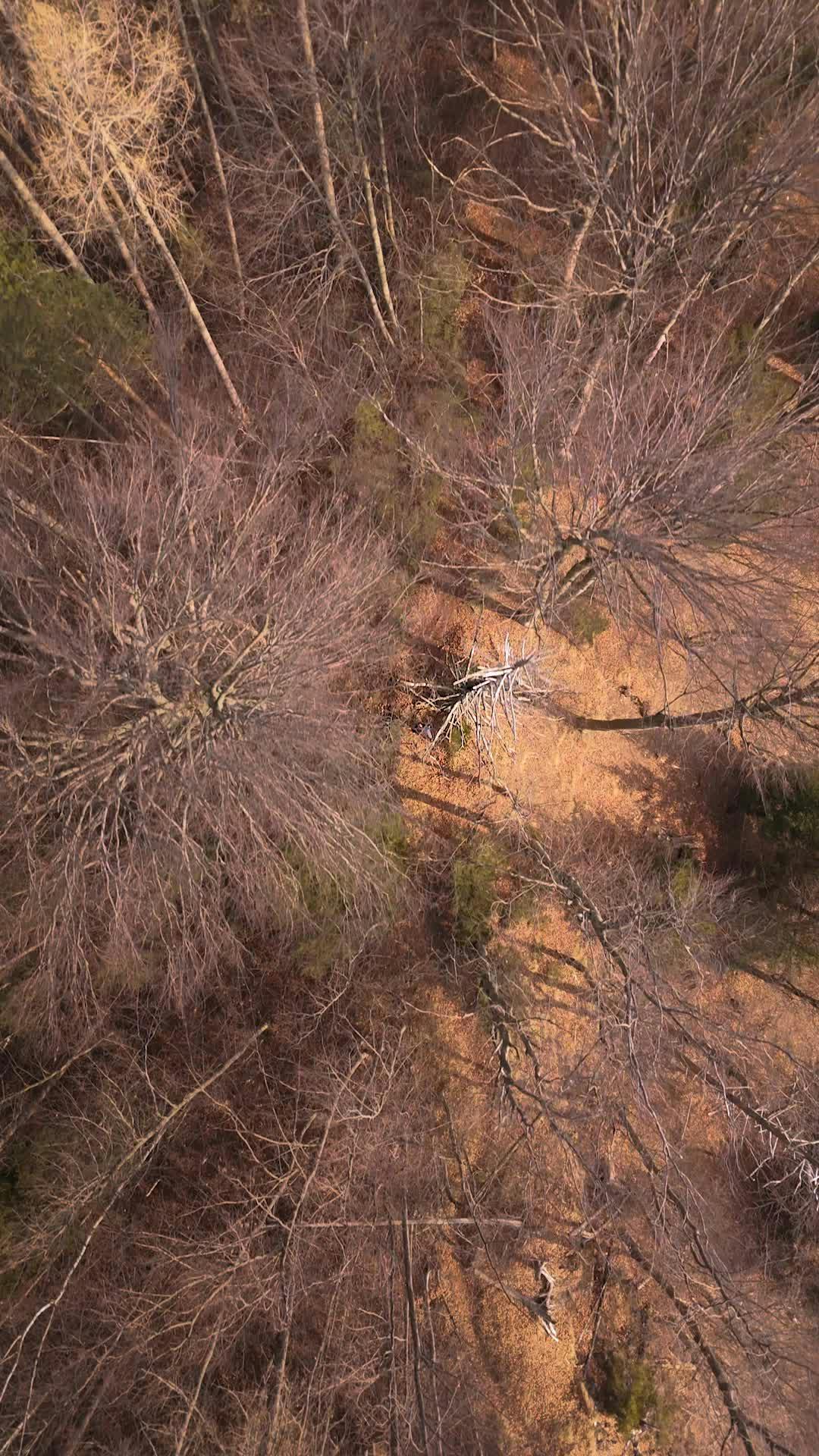 Serene Winter Aerial View of River Pathway Free Stock Video Footage ...
