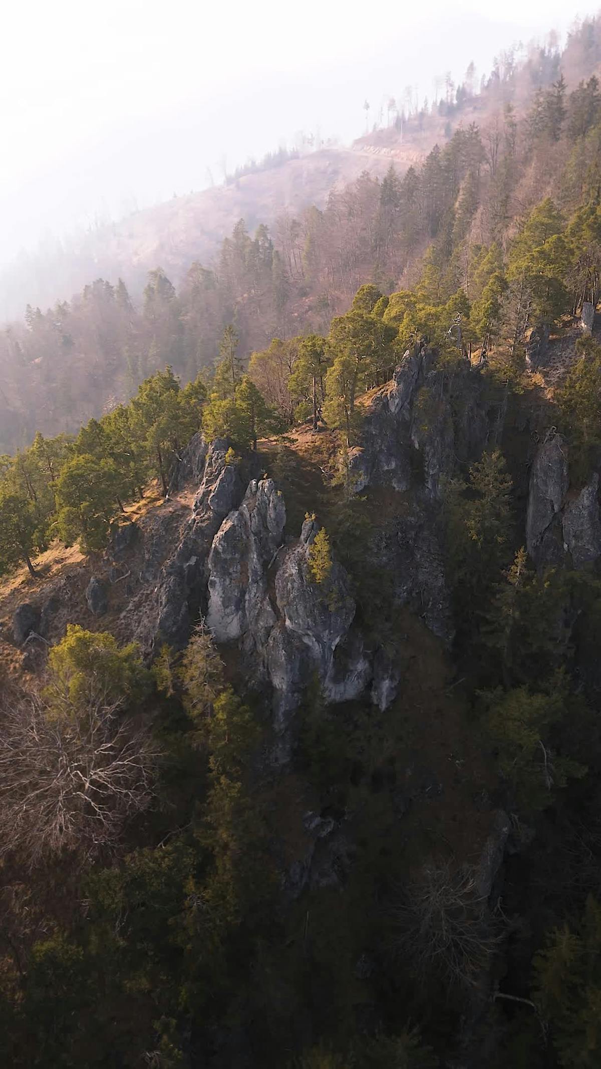 Pixabay Videos, Download The BEST Free 4k Stock Video Footage & Pixabay ...