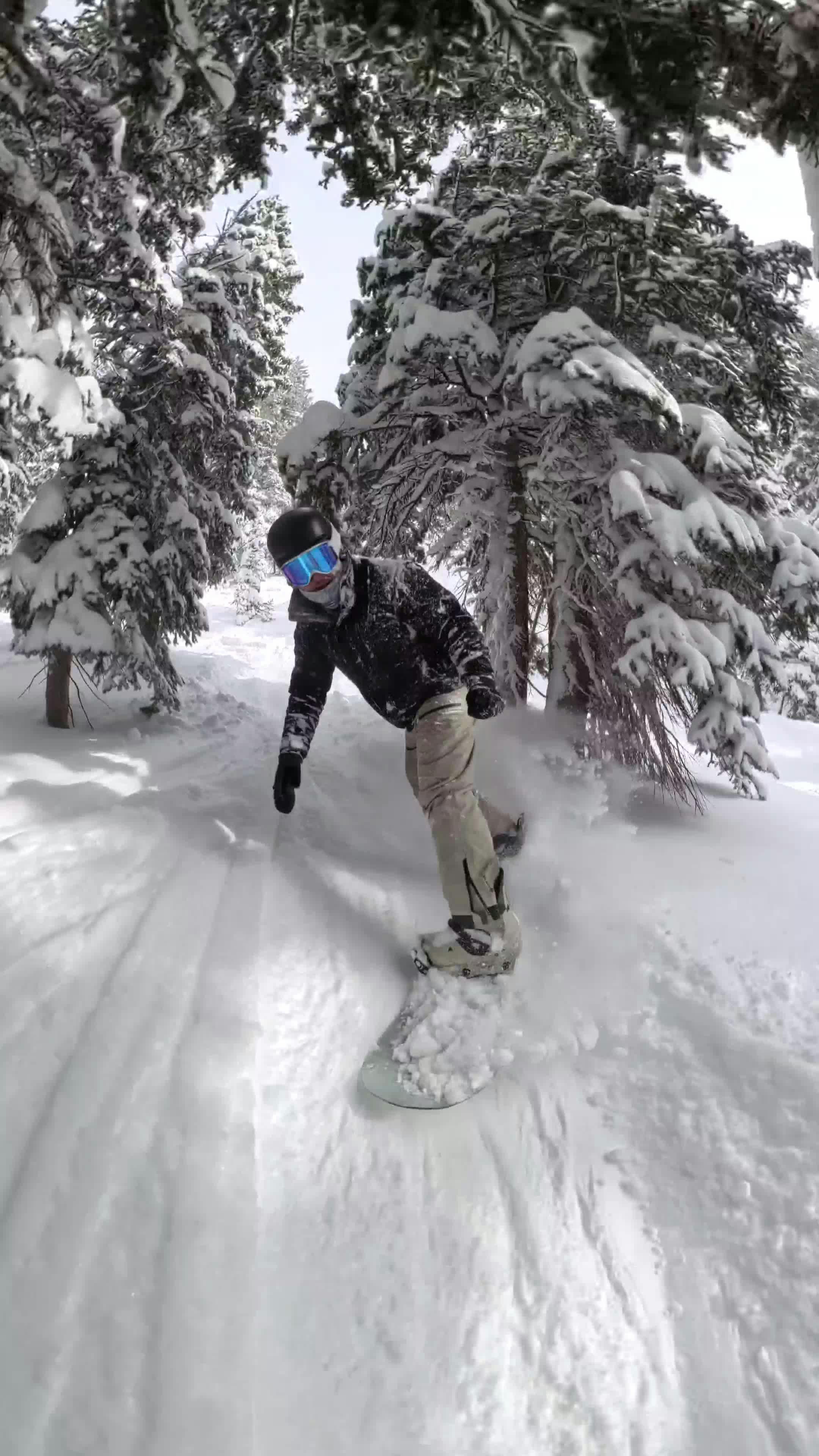 Daring Vipergirls Videos, Download The BEST Free 4k Stock Video Footage ...