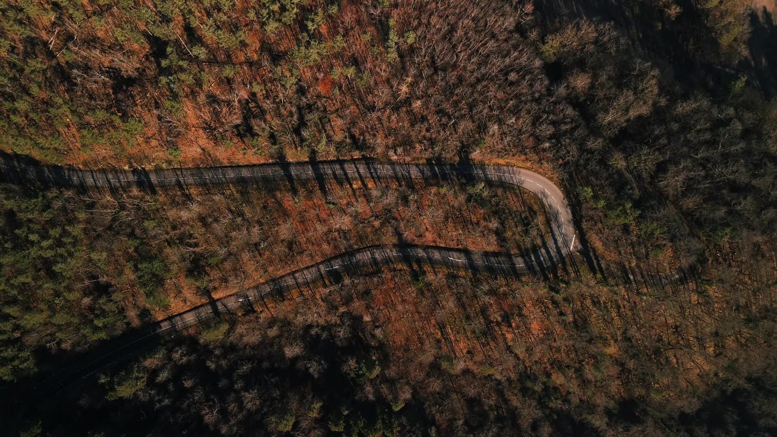 Teen+Bj+In+Car Videos, Download The BEST Free 4k Stock Video Footage ...