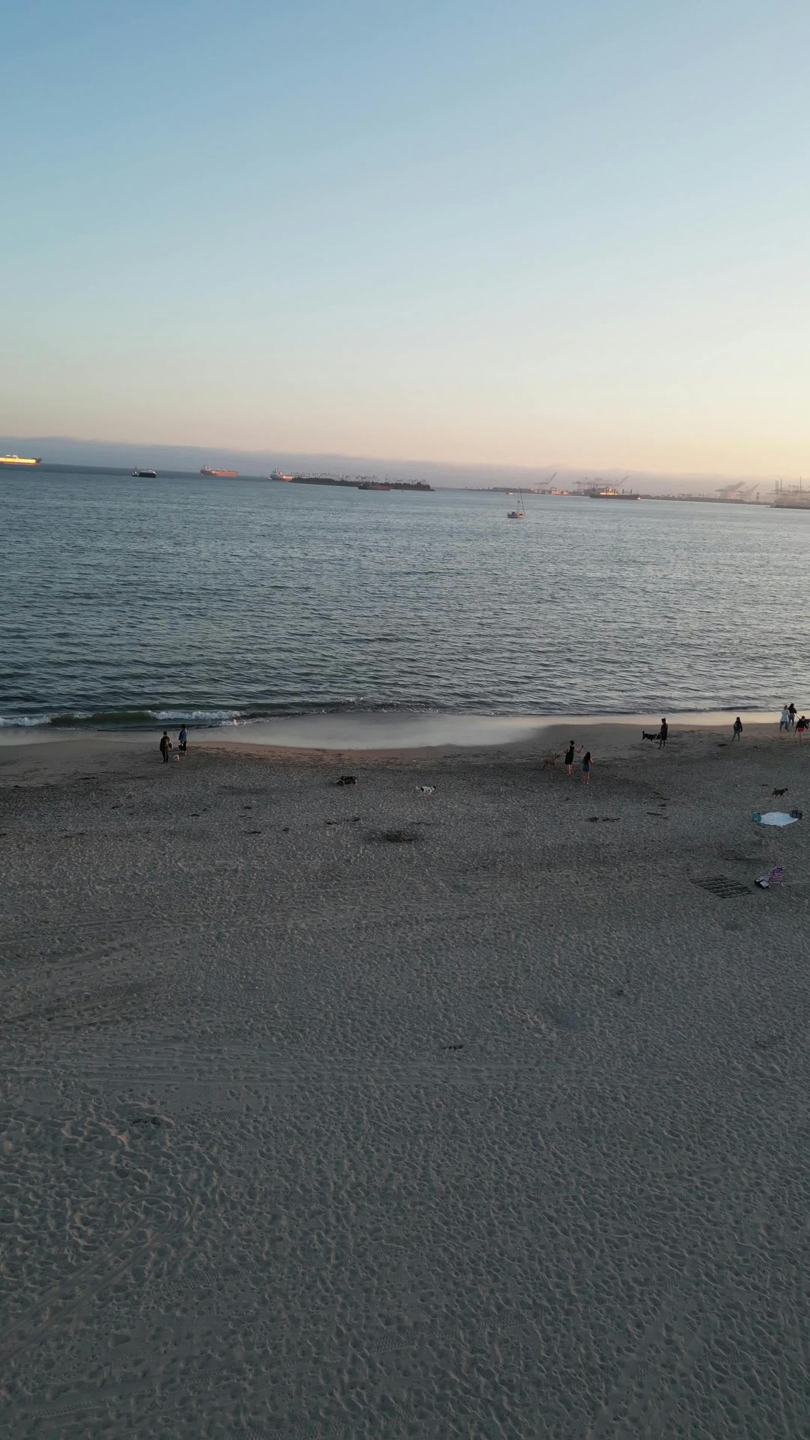 Dog+Knot+Teen Videos, Download The BEST Free 4k Stock Video Footage & Dog+Knot+Teen HD Video Clips