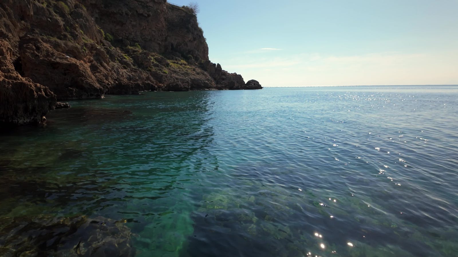 Blue Firm Videos, Download The BEST Free 4k Stock Video Footage & Blue ...