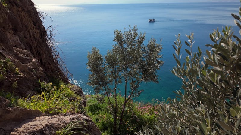 Blue Firm Videos, Download The BEST Free 4k Stock Video Footage & Blue ...