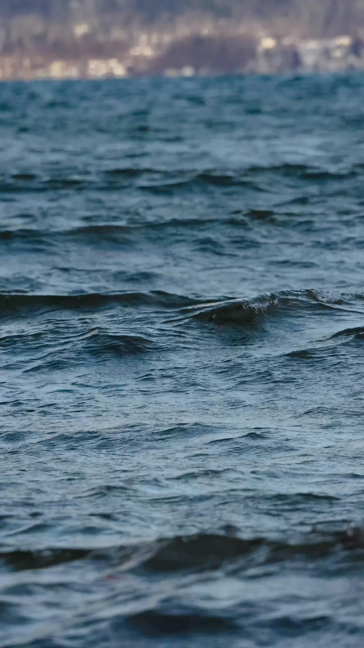 Videos Pixabay Videos, Download The BEST Free 4k Stock Video Footage ...