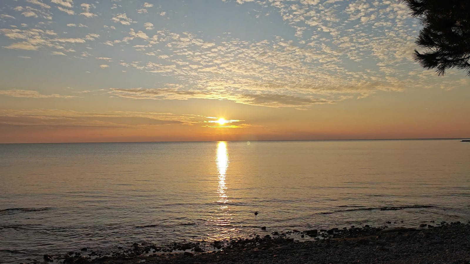 Pron Video Videos, Download The BEST Free 4k Stock Video Footage & Pron ...