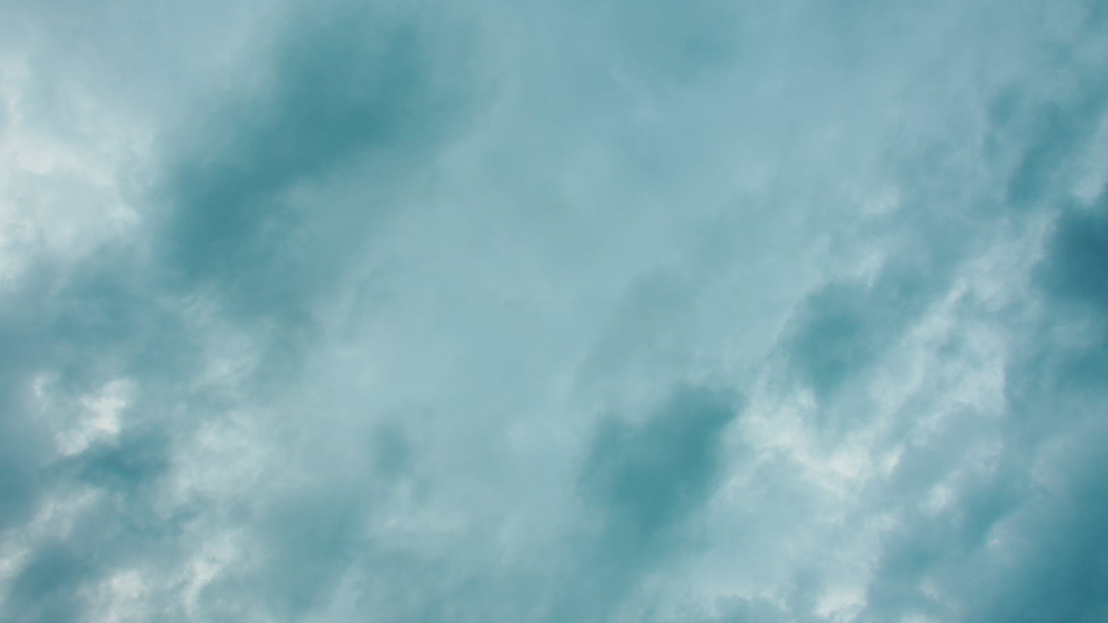 Blue Firm Videos, Download The BEST Free 4k Stock Video Footage & Blue ...