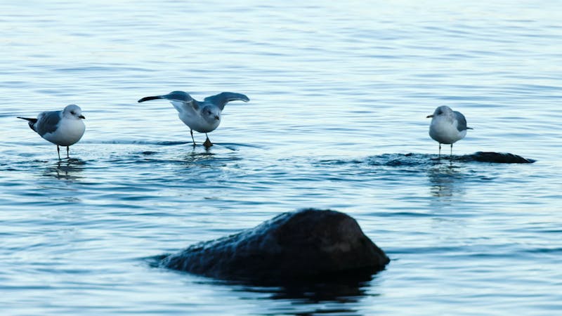 Pron Video Videos, Download The BEST Free 4k Stock Video Footage & Pron ...