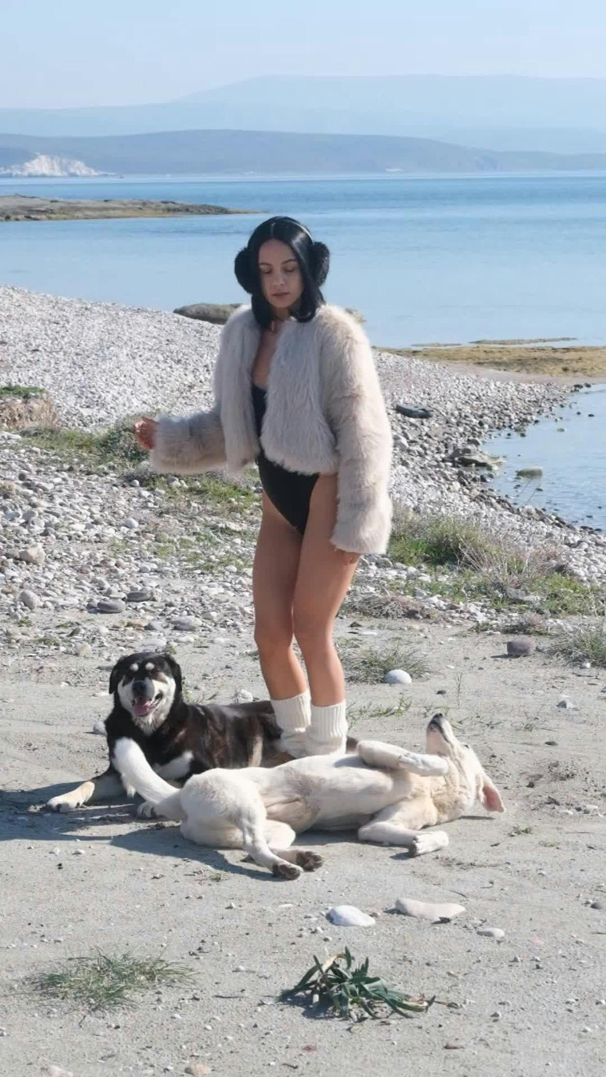 Girl+Gets+Knotted+By+Her+Dog Videos, Download The BEST Free 4k Stock Video Footage & Girl+Gets ...