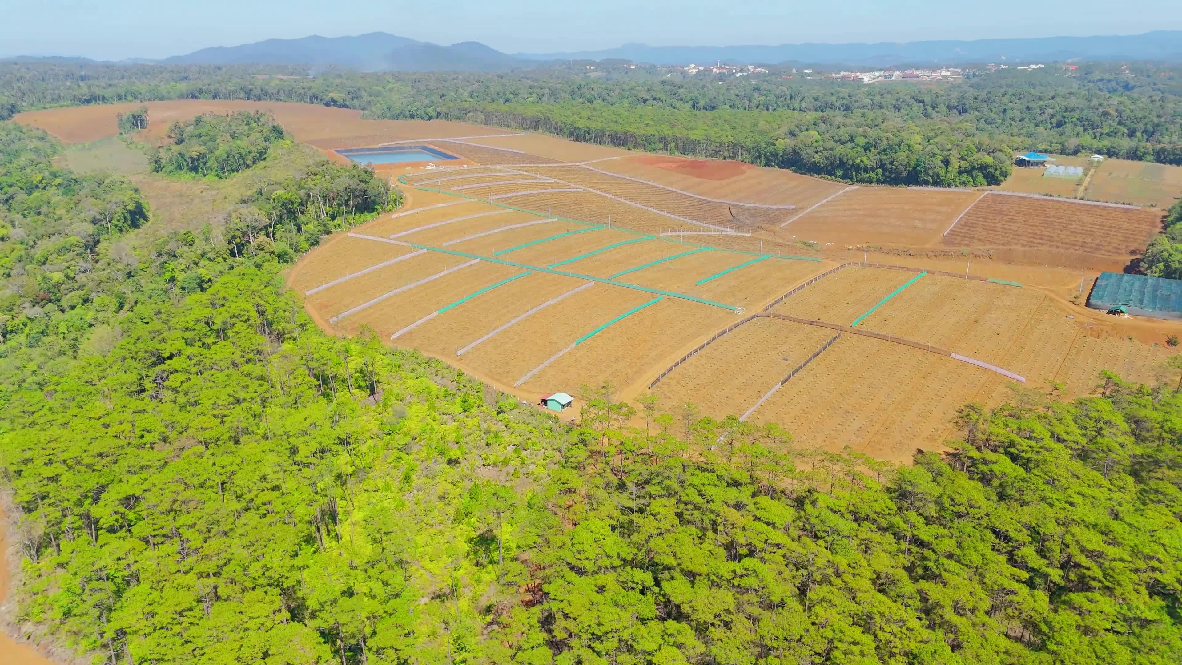 Aerial View of Vast Farmland Landscape in Vietnam Free Stock Video ...