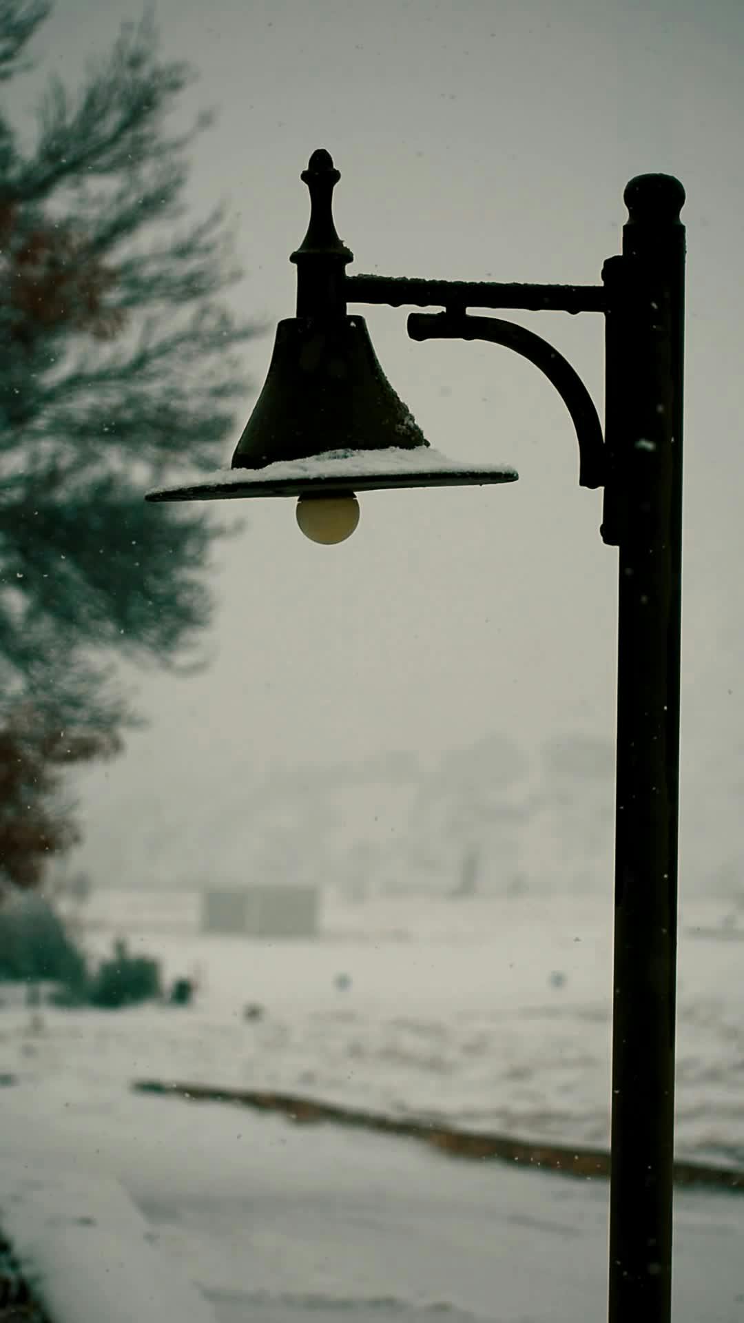 Snowy Street Scene with Vintage Lamp Post Free Stock Video Footage ...