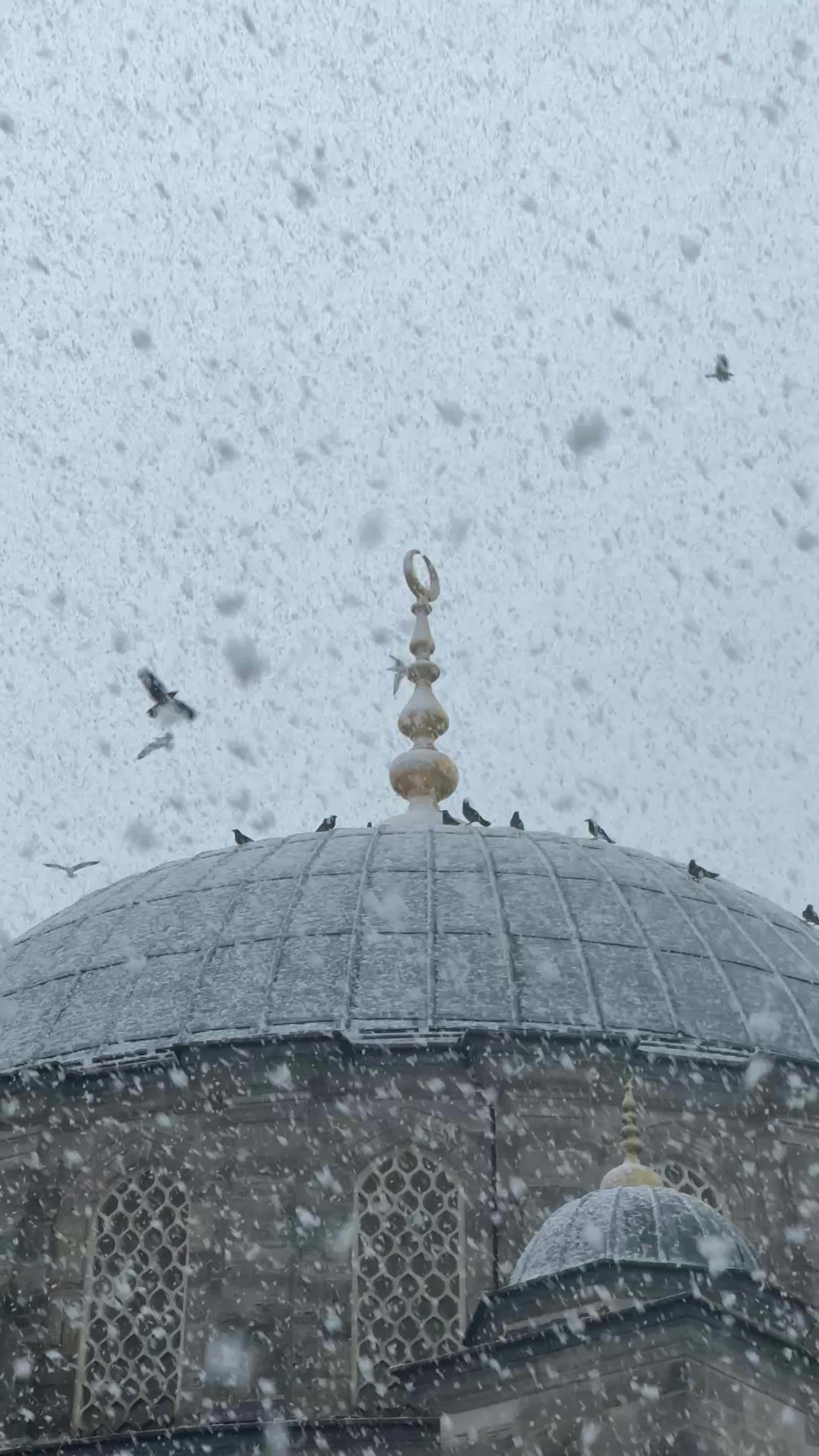 Aesthetics Videos, Download The BEST Free 4k Stock Video Footage ...