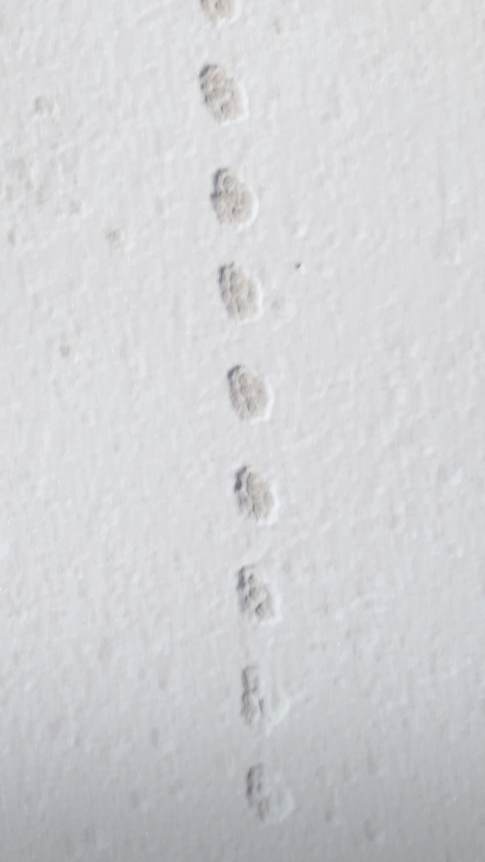 Desktop Background Videos, Download The BEST Free 4k Stock Video ...