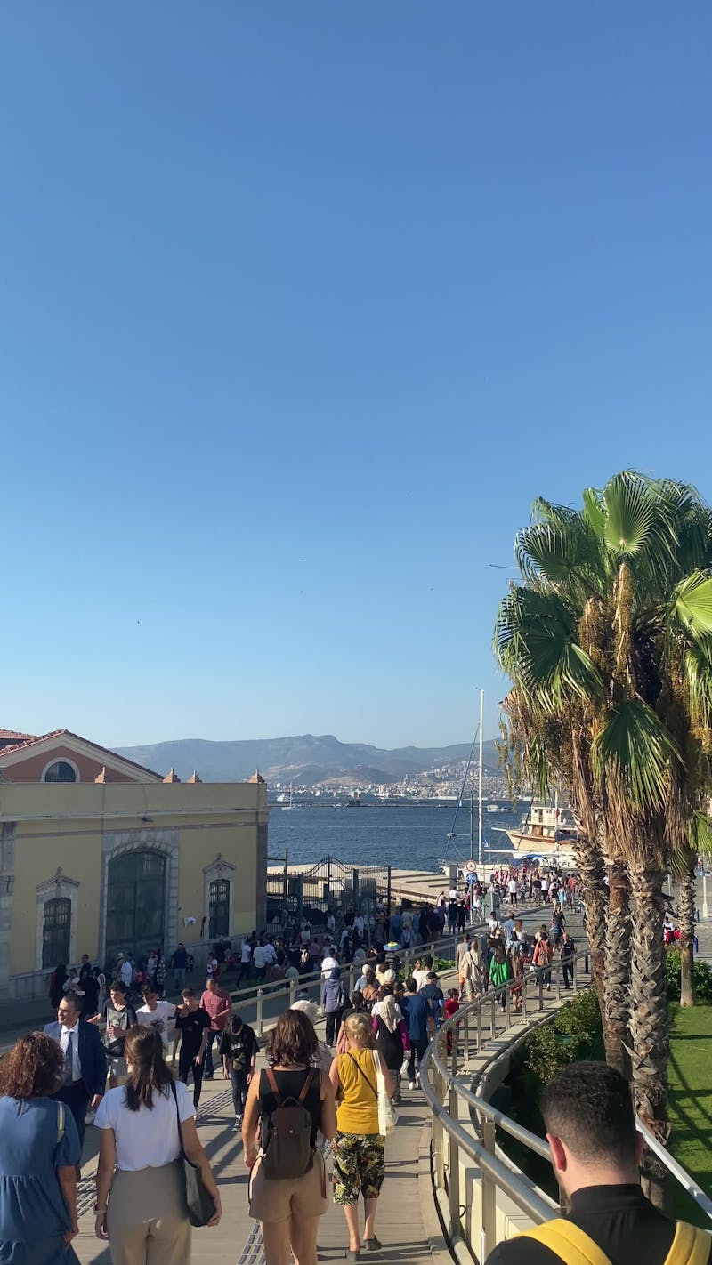 People+Humping+Each+Other Videos, Download The BEST Free 4k Stock Video ...