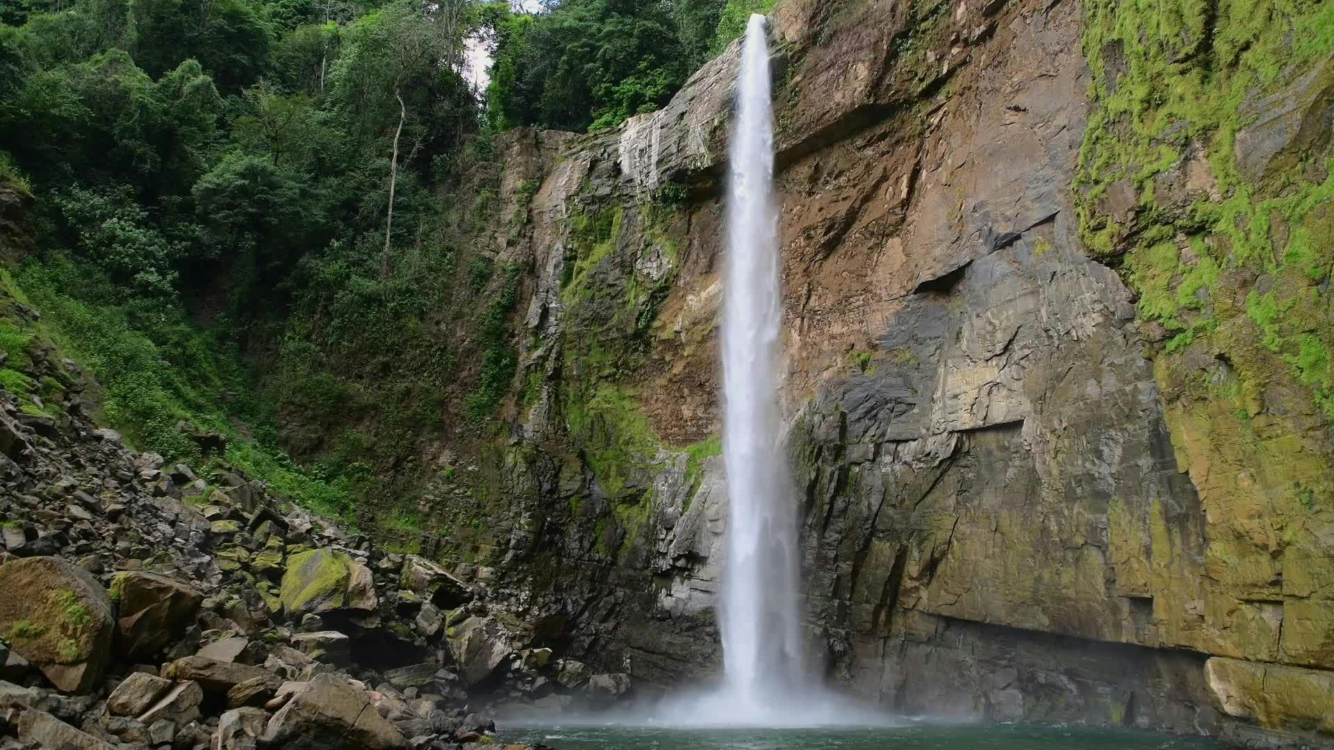 Majestic Waterfall Cascading in Lush Jungle Free Stock Video Footage ...