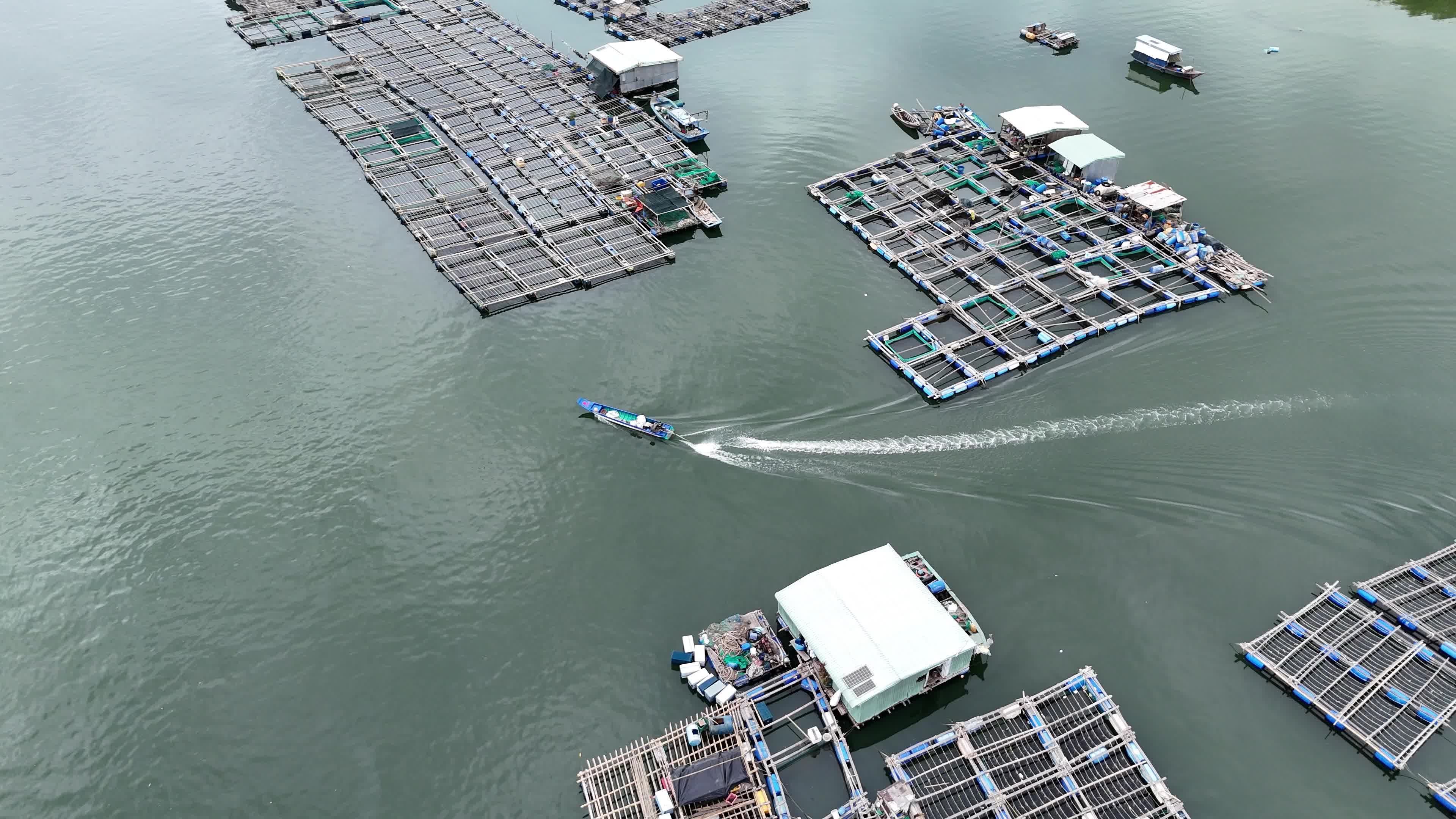 Drone Aerial View of Fish Farms in Tranquil Waters Free Stock Video ...