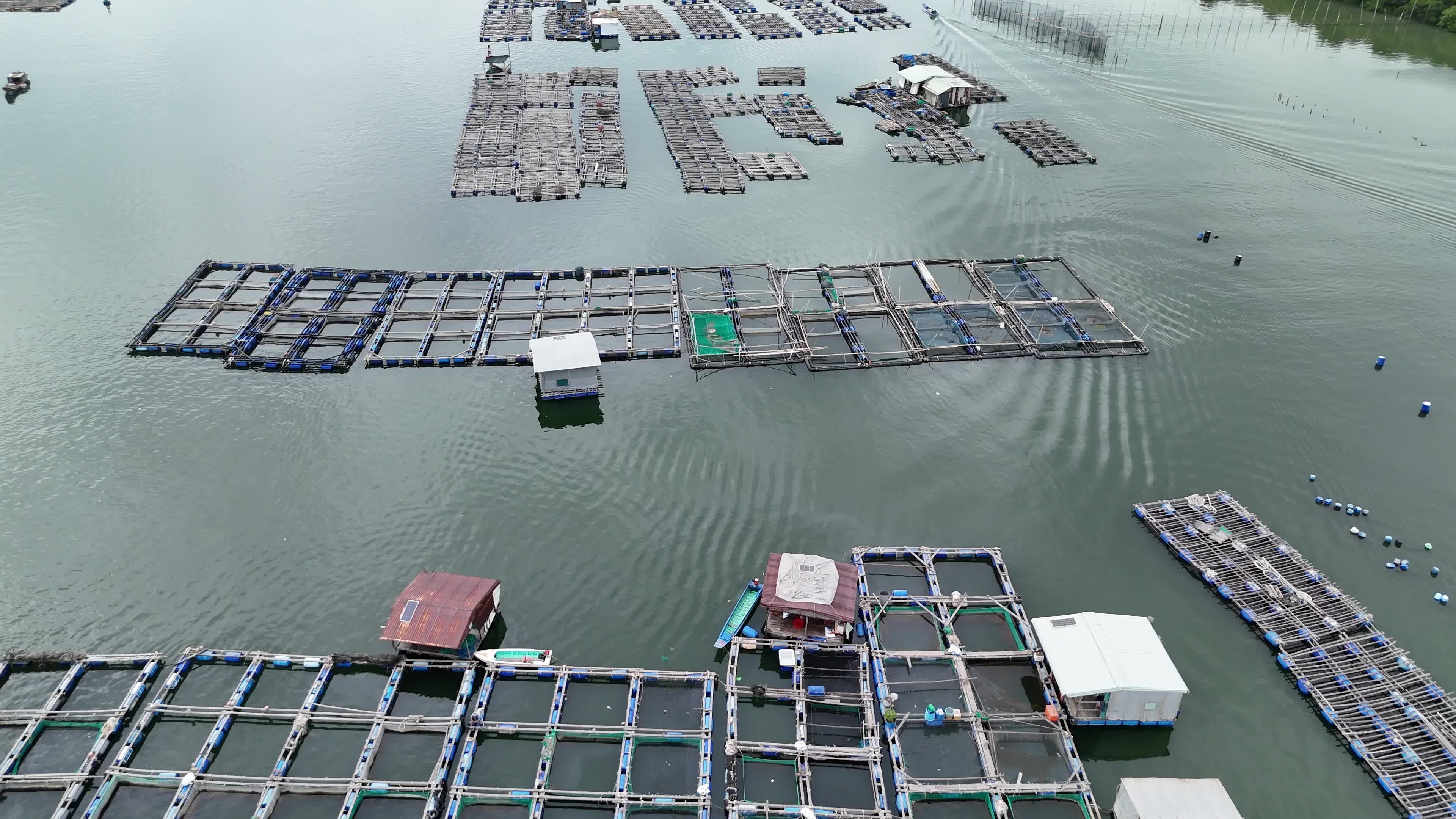 Aerial View of Fish Farming on Calm Water Free Stock Video Footage ...