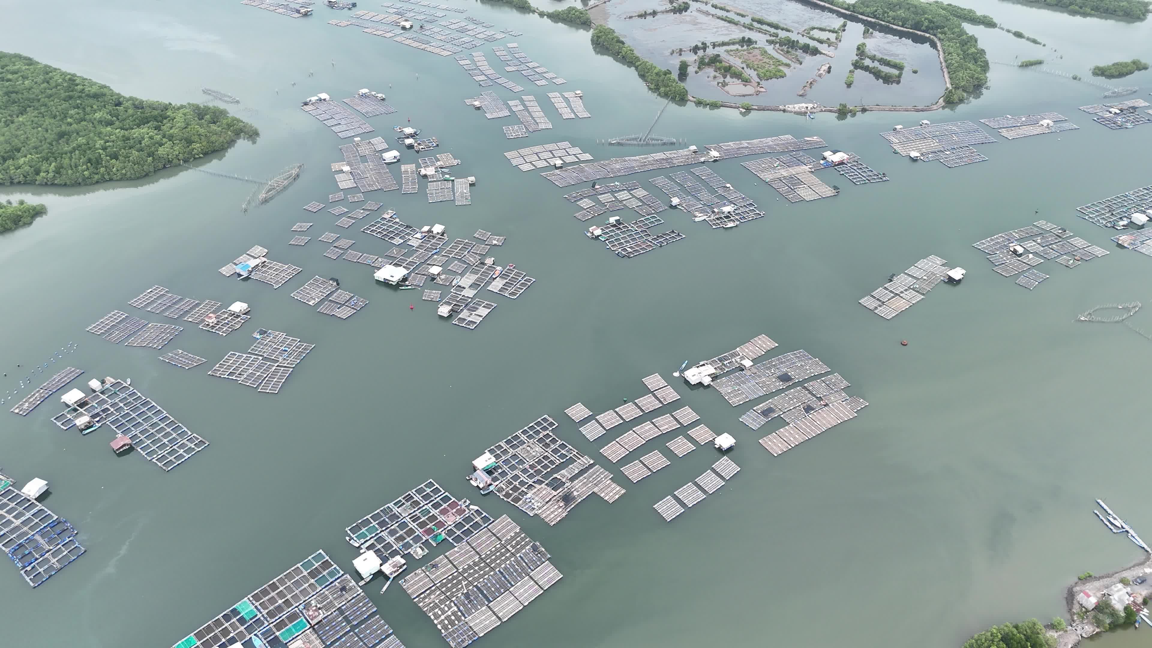 Aerial View of Floating Fish Farms in a Coastal Region Free Stock Video ...