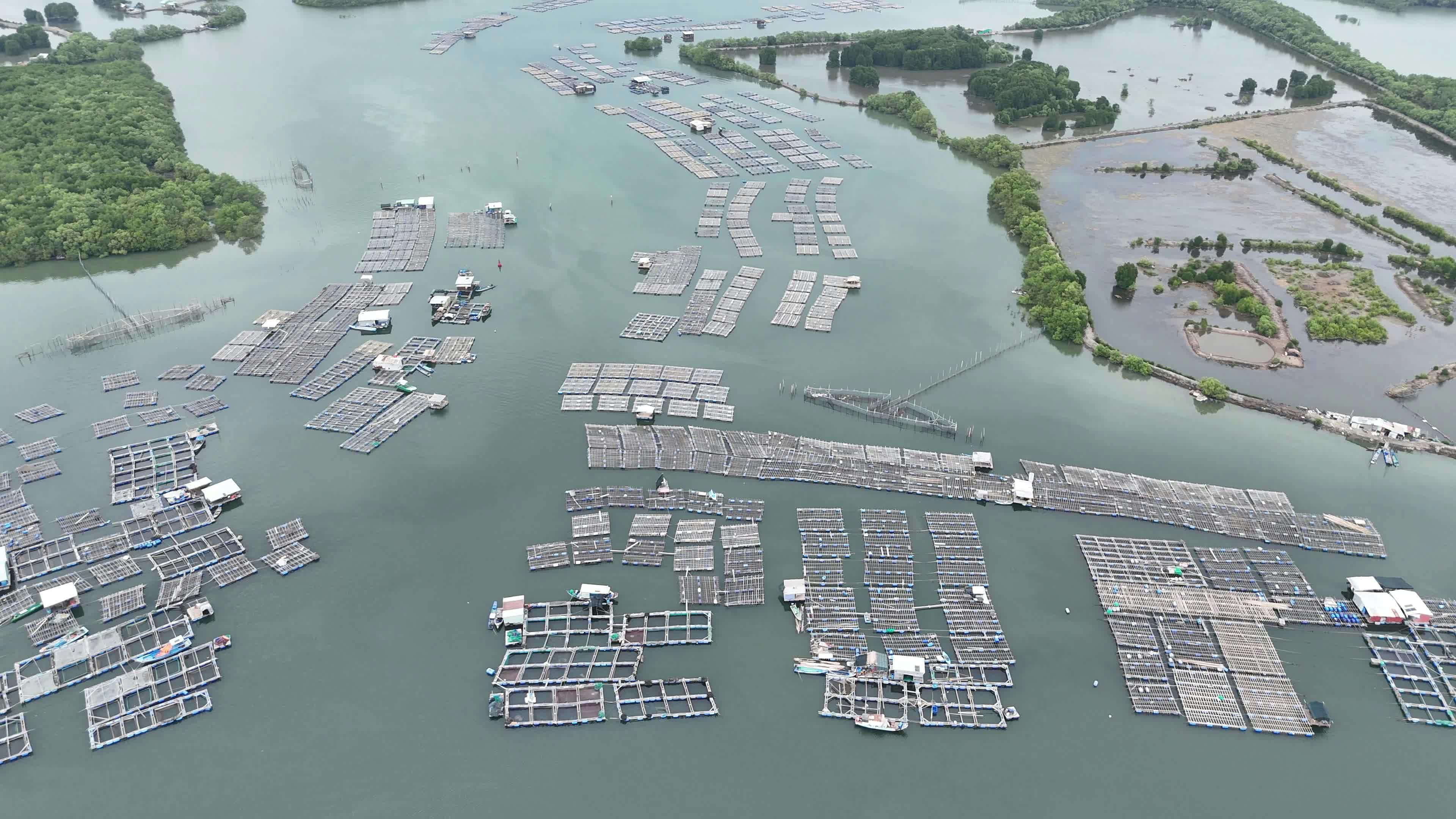 Tainos Fishing Videos, Download The BEST Free 4k Stock Video Footage ...