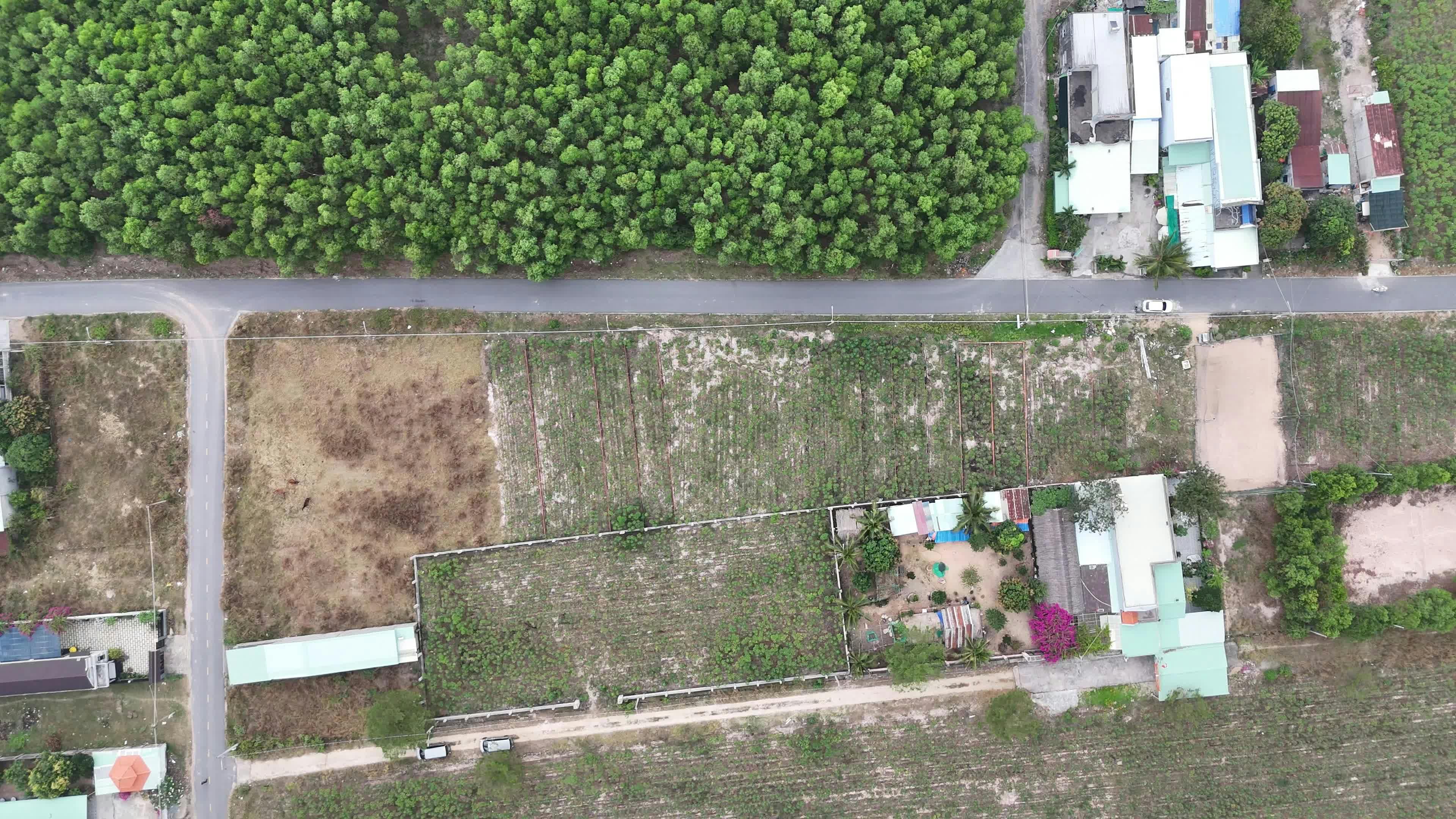 Outdoor Backyard Videos, Download The BEST Free 4k Stock Video Footage ...