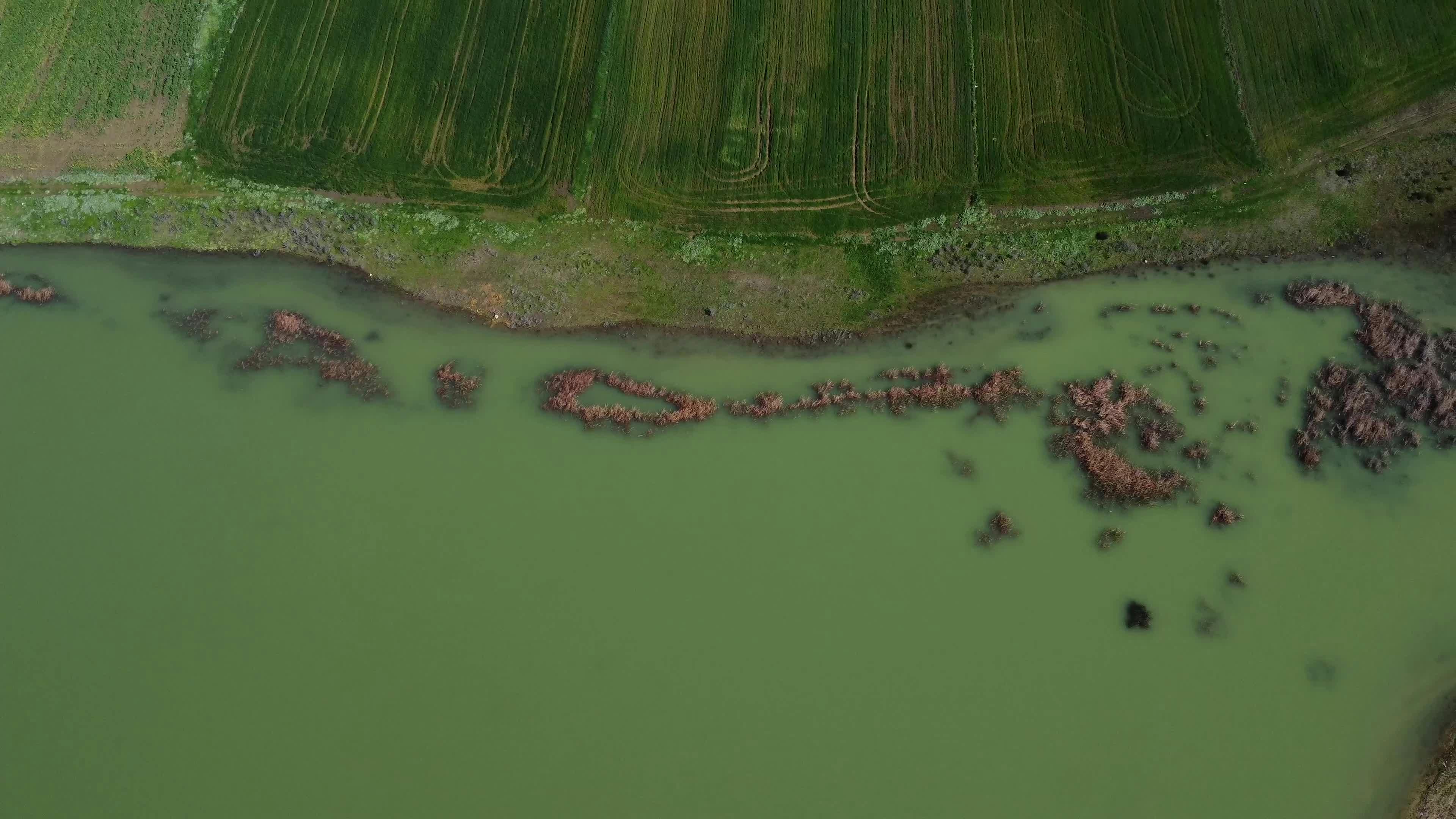 Land Vari Videos, Download The BEST Free 4k Stock Video Footage & Land ...