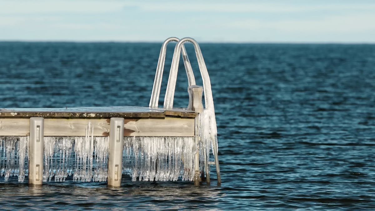 Videos Pixabay Videos, Download The BEST Free 4k Stock Video Footage ...