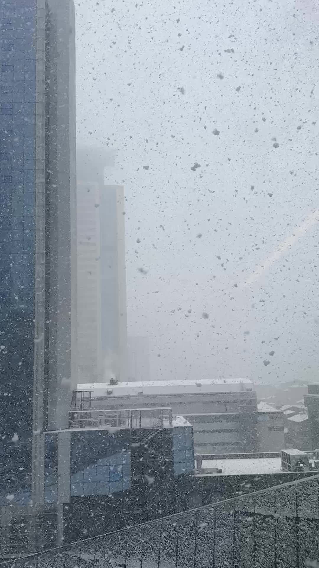 Snowy Urban Cityscape with Falling Snow Free Stock Video Footage ...