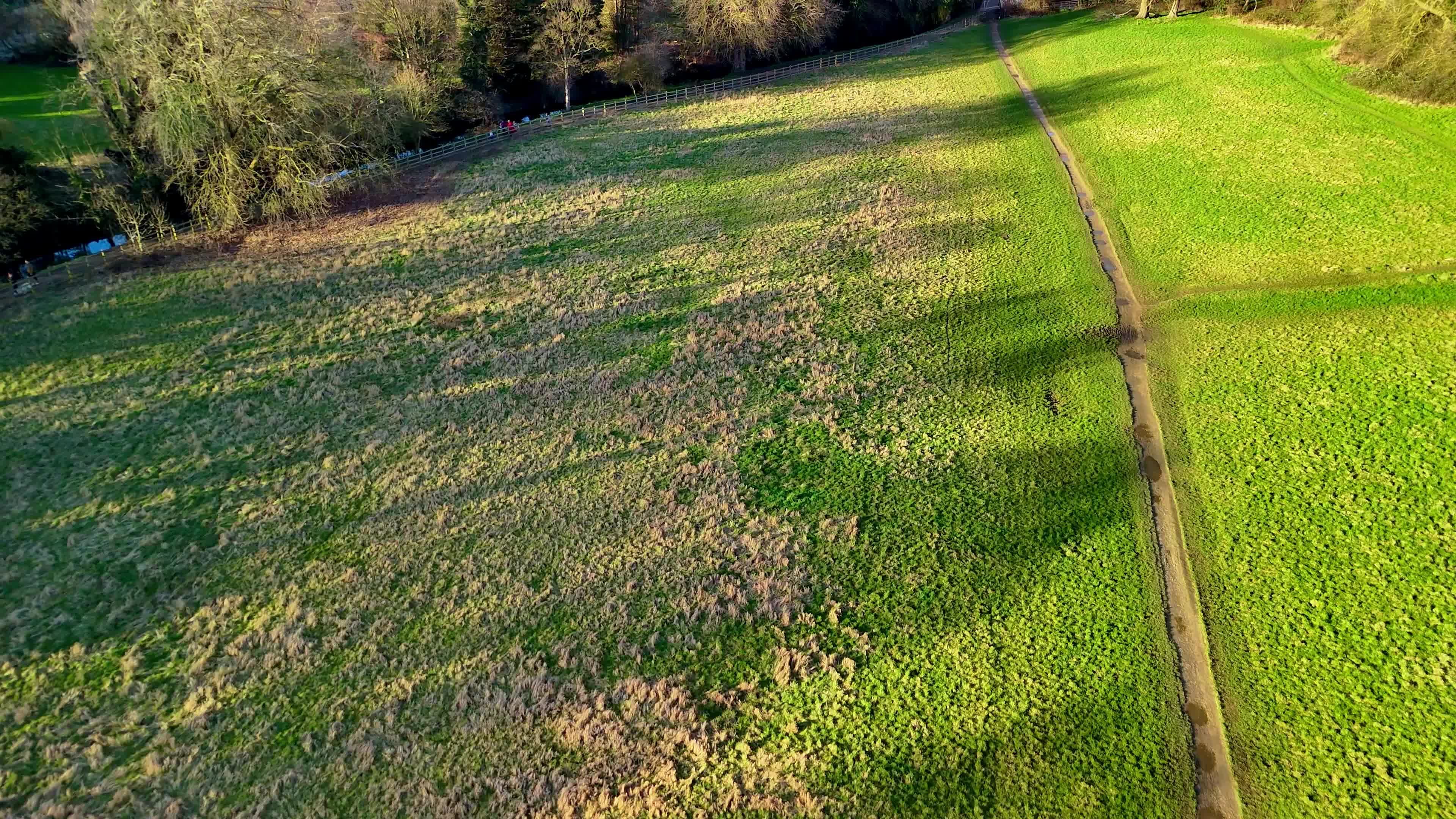 Aerial View of Green Pasture with Blue Sky Free Stock Video Footage ...