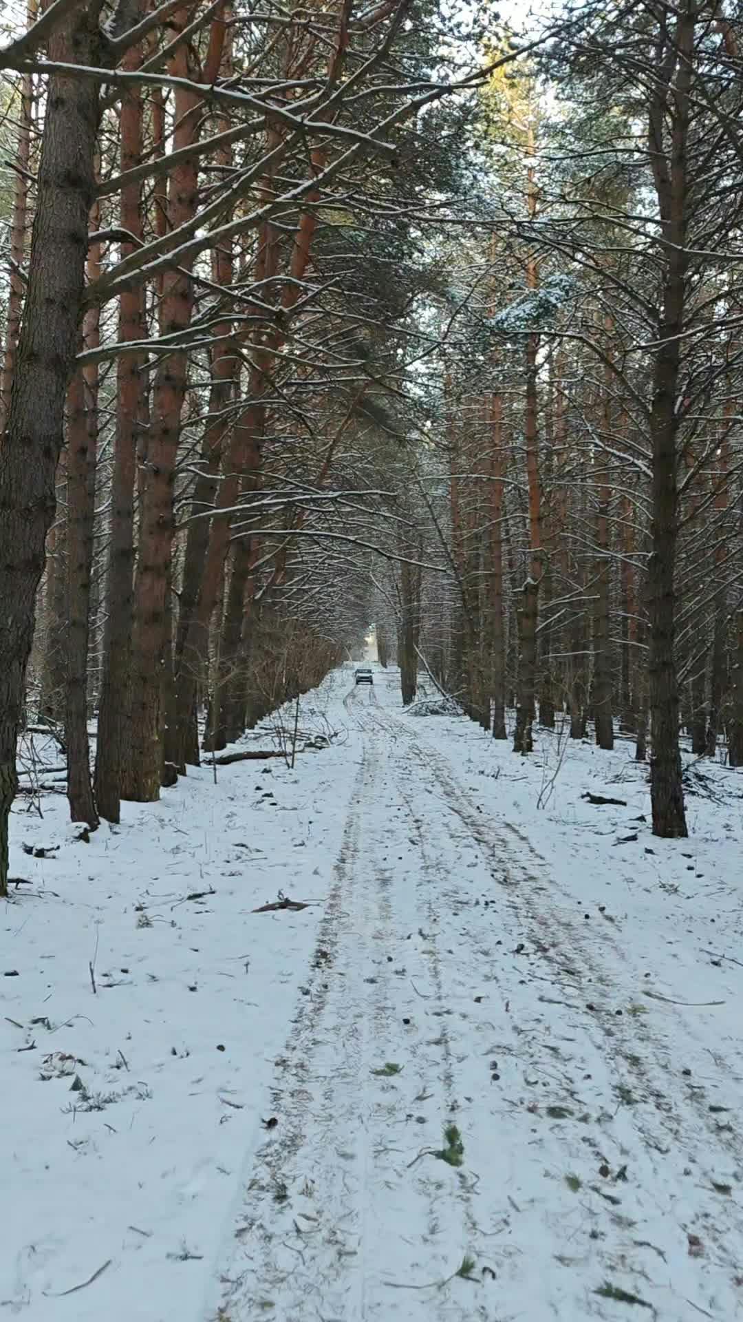 Mger Akopyan — Фотография