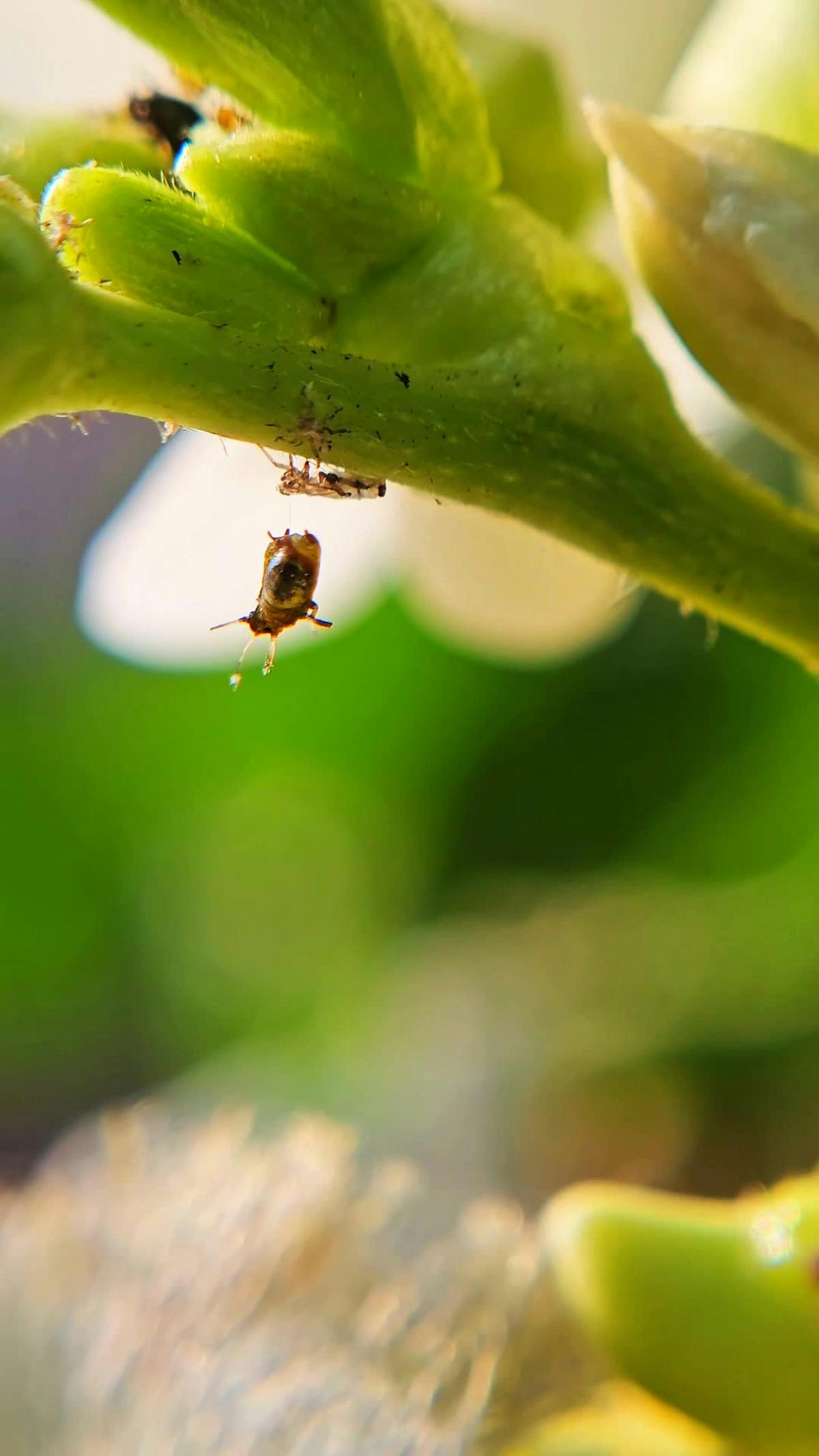 Thick+Light+Skin+Back+Shots Videos, Download The BEST Free 4k Stock ...