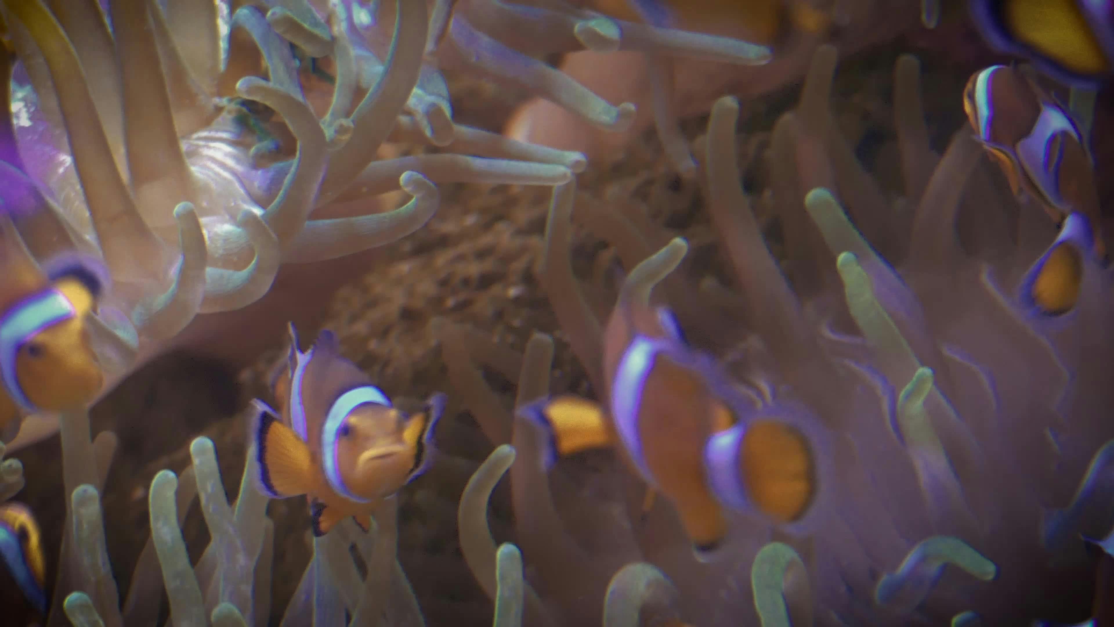 CESAR CASANOVA - Photography