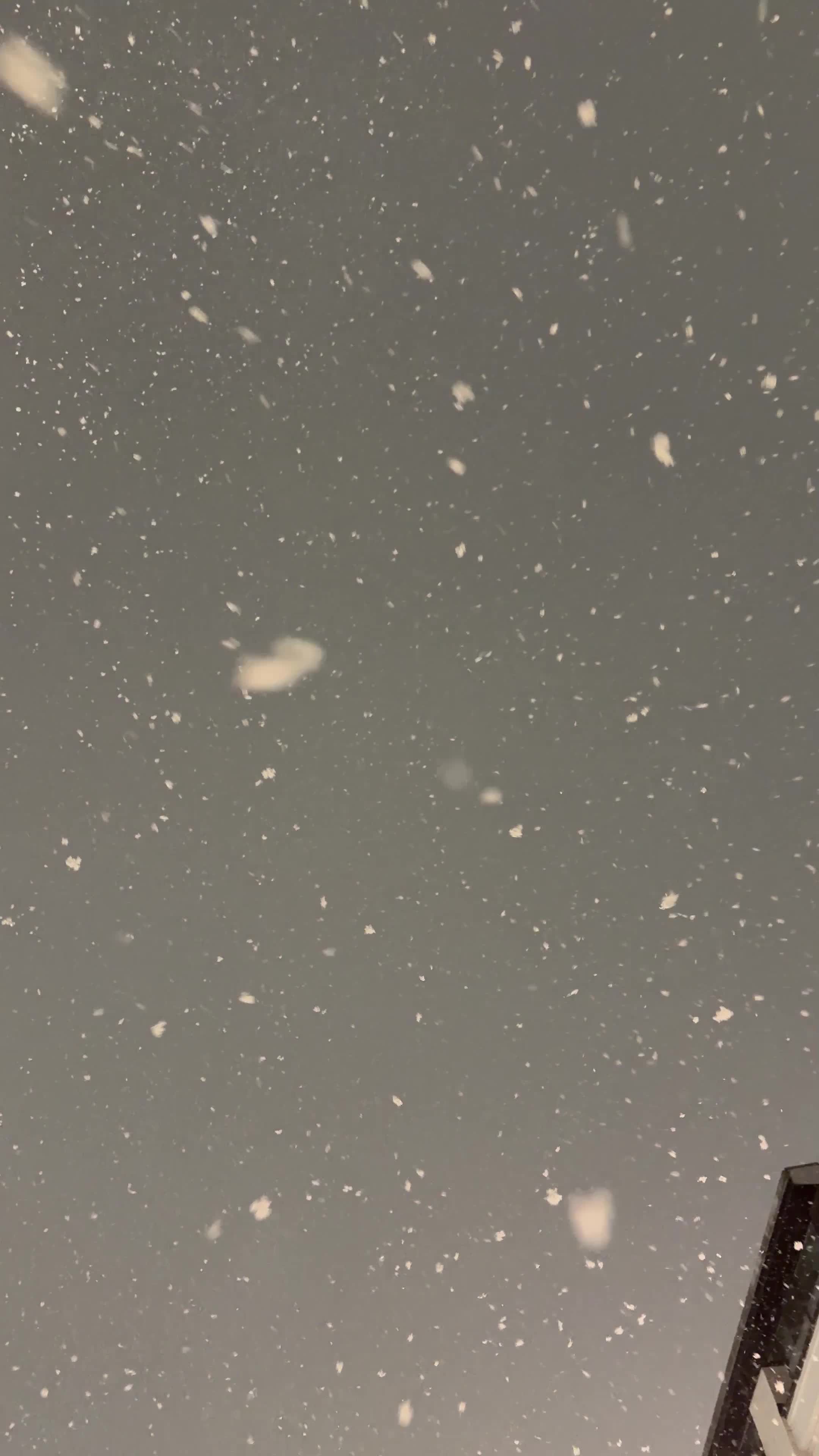 Snowfall at Night with Starry Sky Background Free Stock Video Footage ...