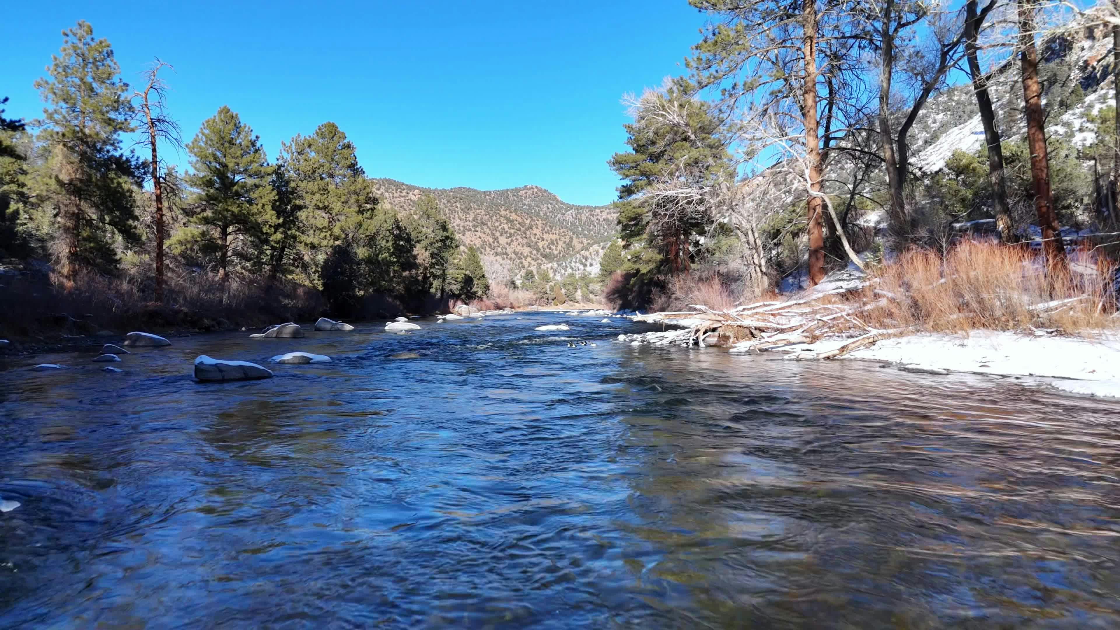 Pete Scales - Fotografi