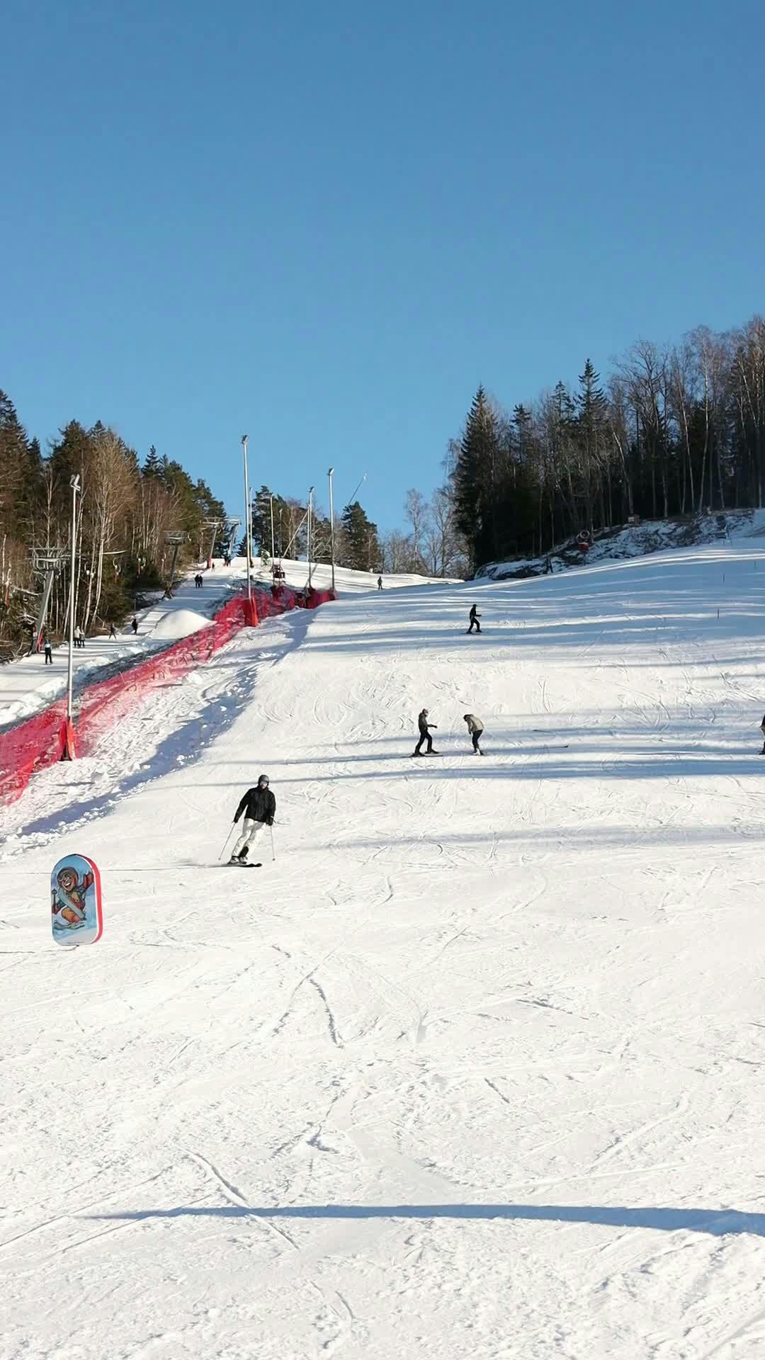 Pixabay Videos, Download The BEST Free 4k Stock Video Footage & Pixabay ...