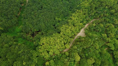 Unsplash Video Videos, Download The BEST Free 4k Stock Video Footage ...