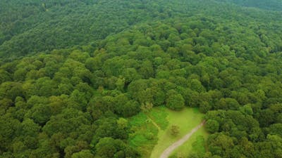 Naturist+Family+Camp+Video Videos, Download The BEST Free 4k Stock Video Footage & Naturist ...