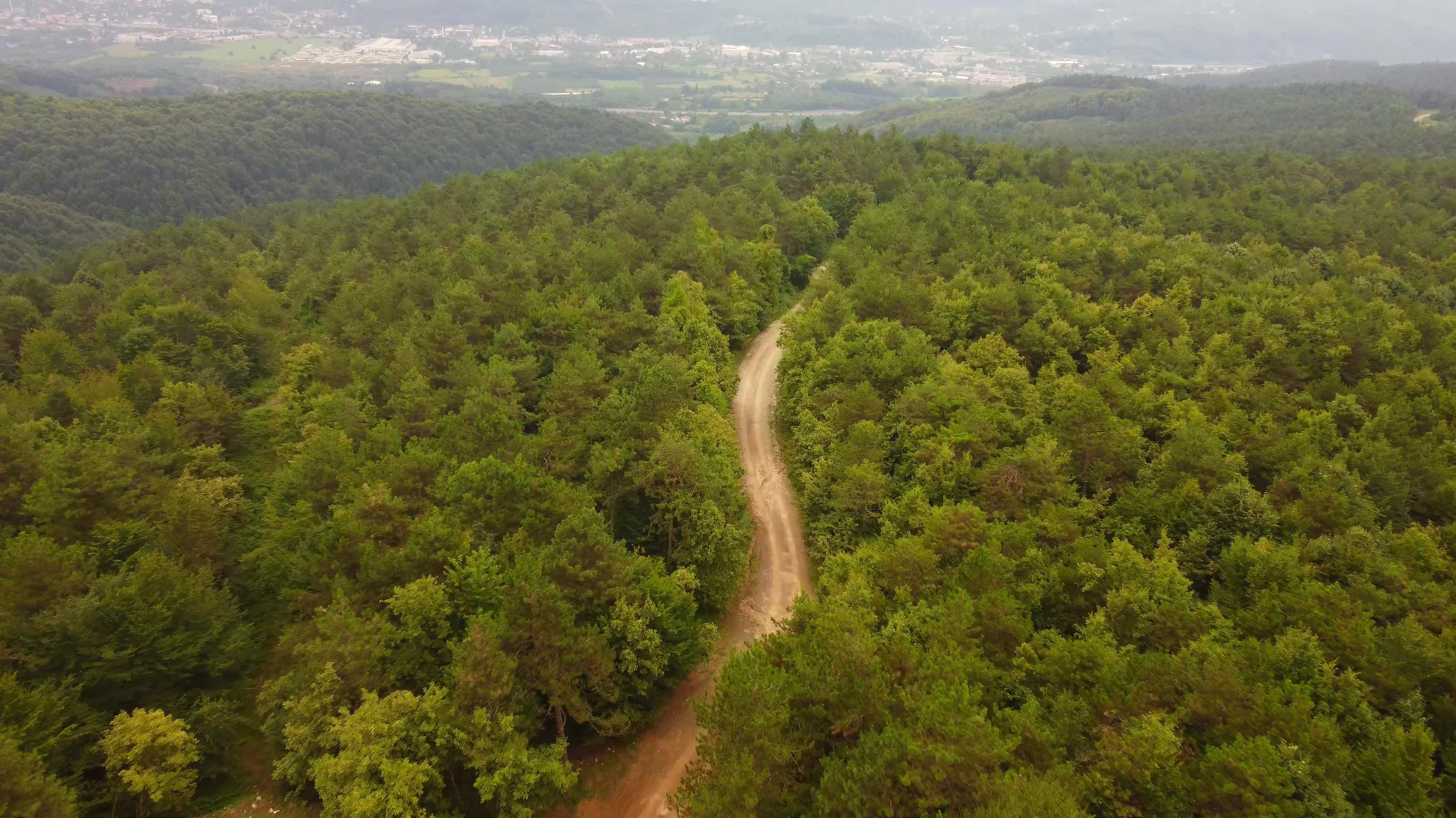 Breathtaking Aerial View of Lush Green Forest Trail Free Stock Video ...