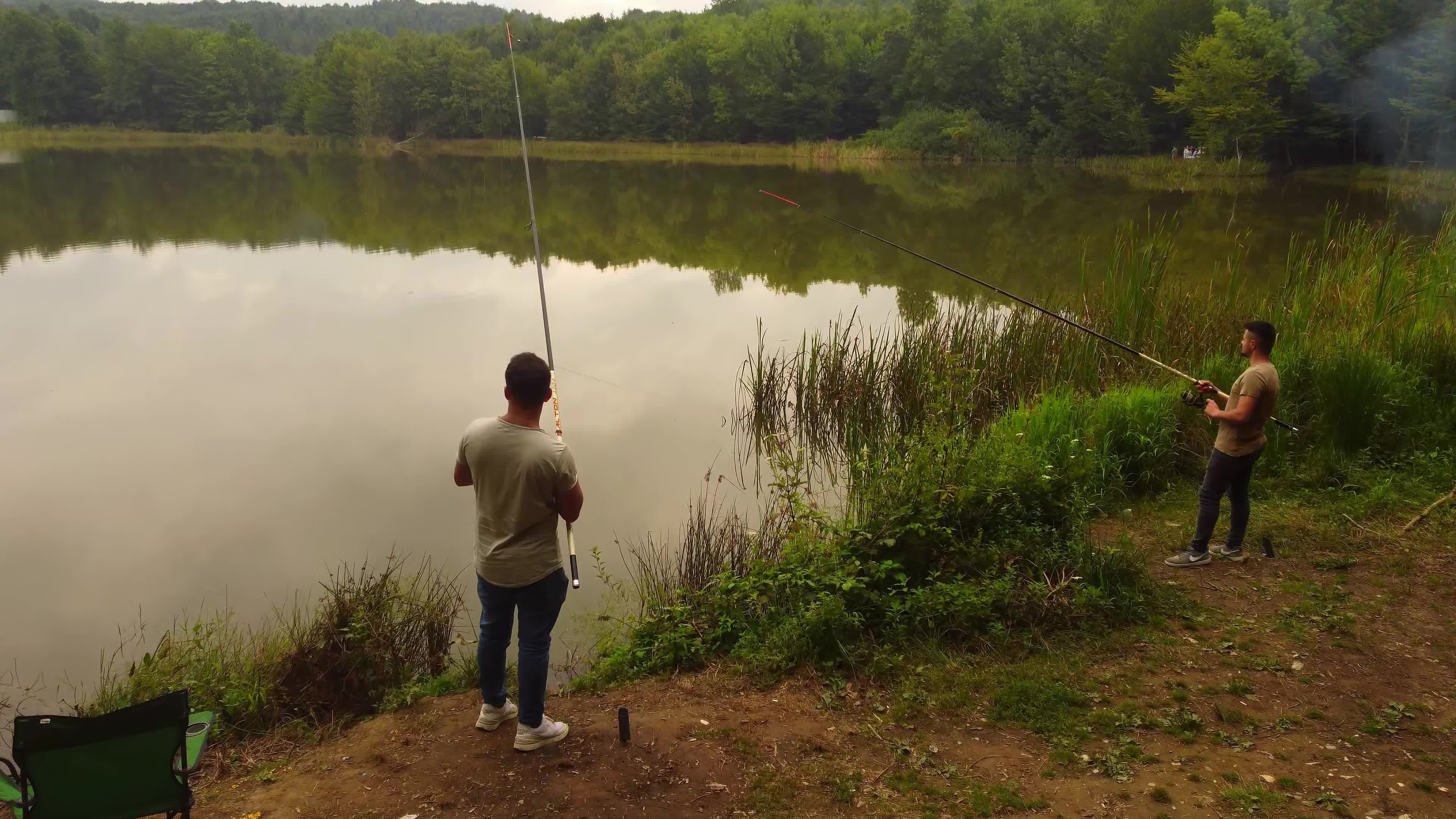 Tukif Pond Videos, Download The BEST Free 4k Stock Video Footage ...