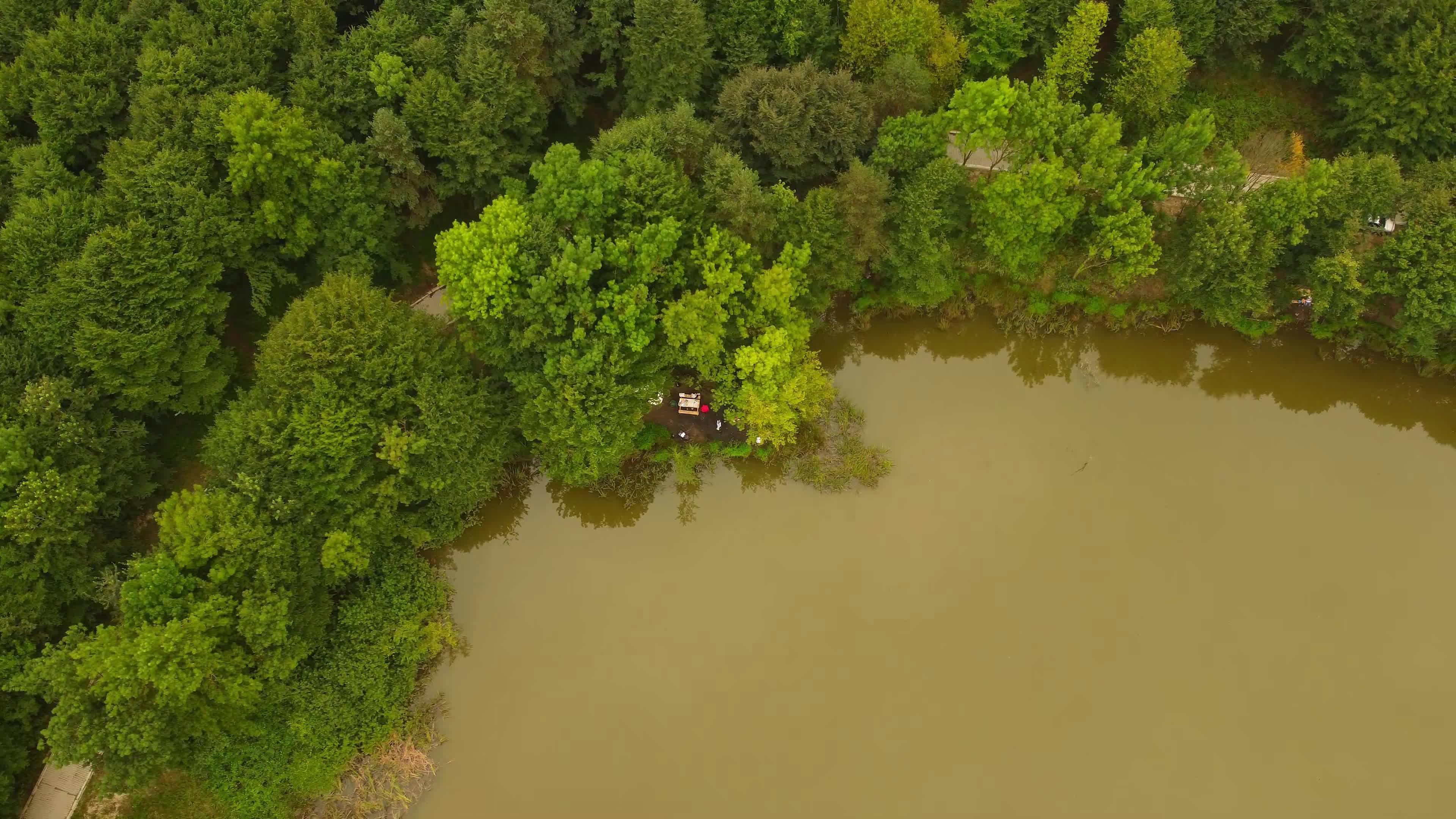 Free Non Copyrighted Background Videos, Download The BEST Free 4k Stock ...