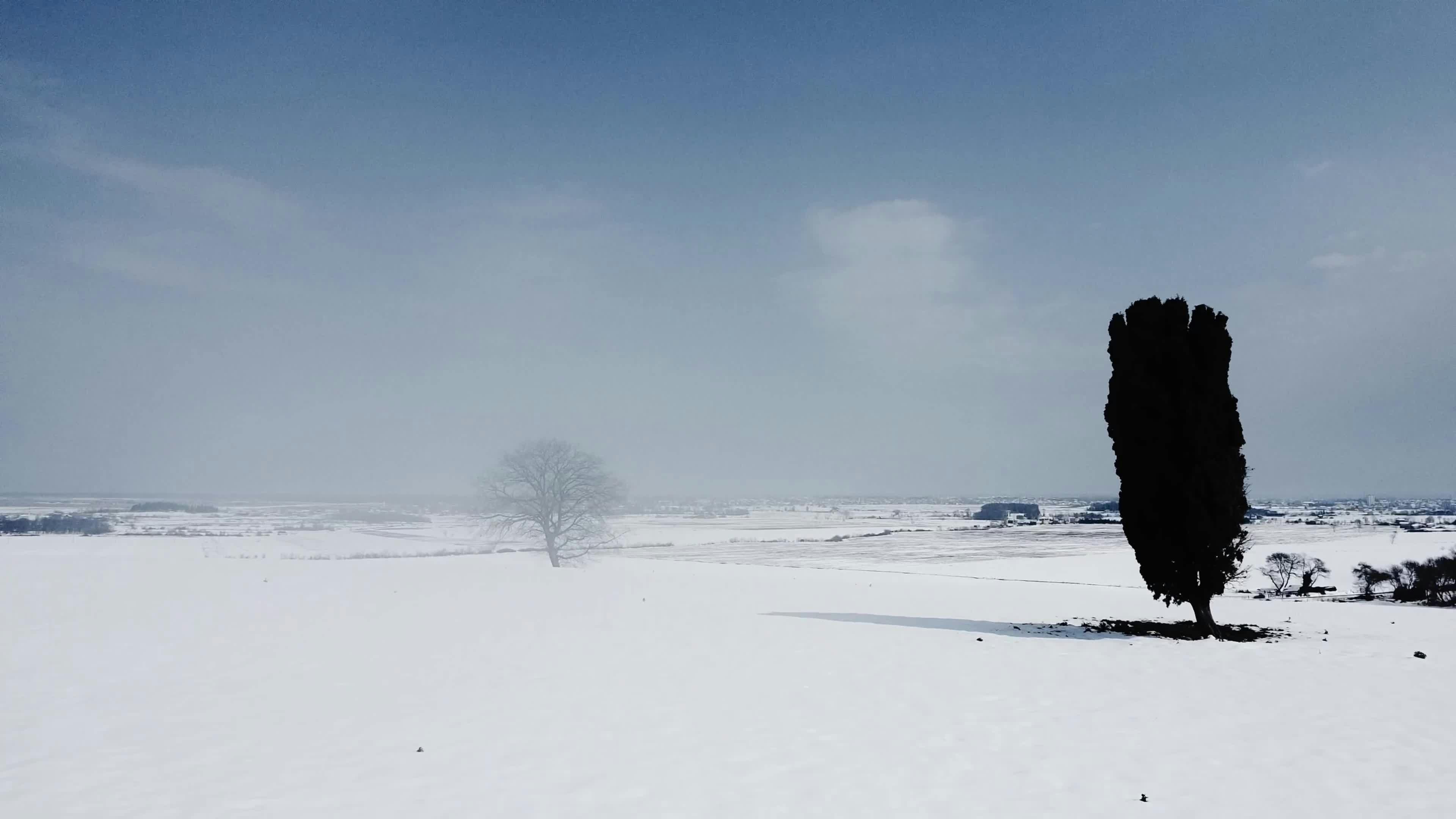 Filipino Minimal Videos, Download The BEST Free 4k Stock Video Footage ...