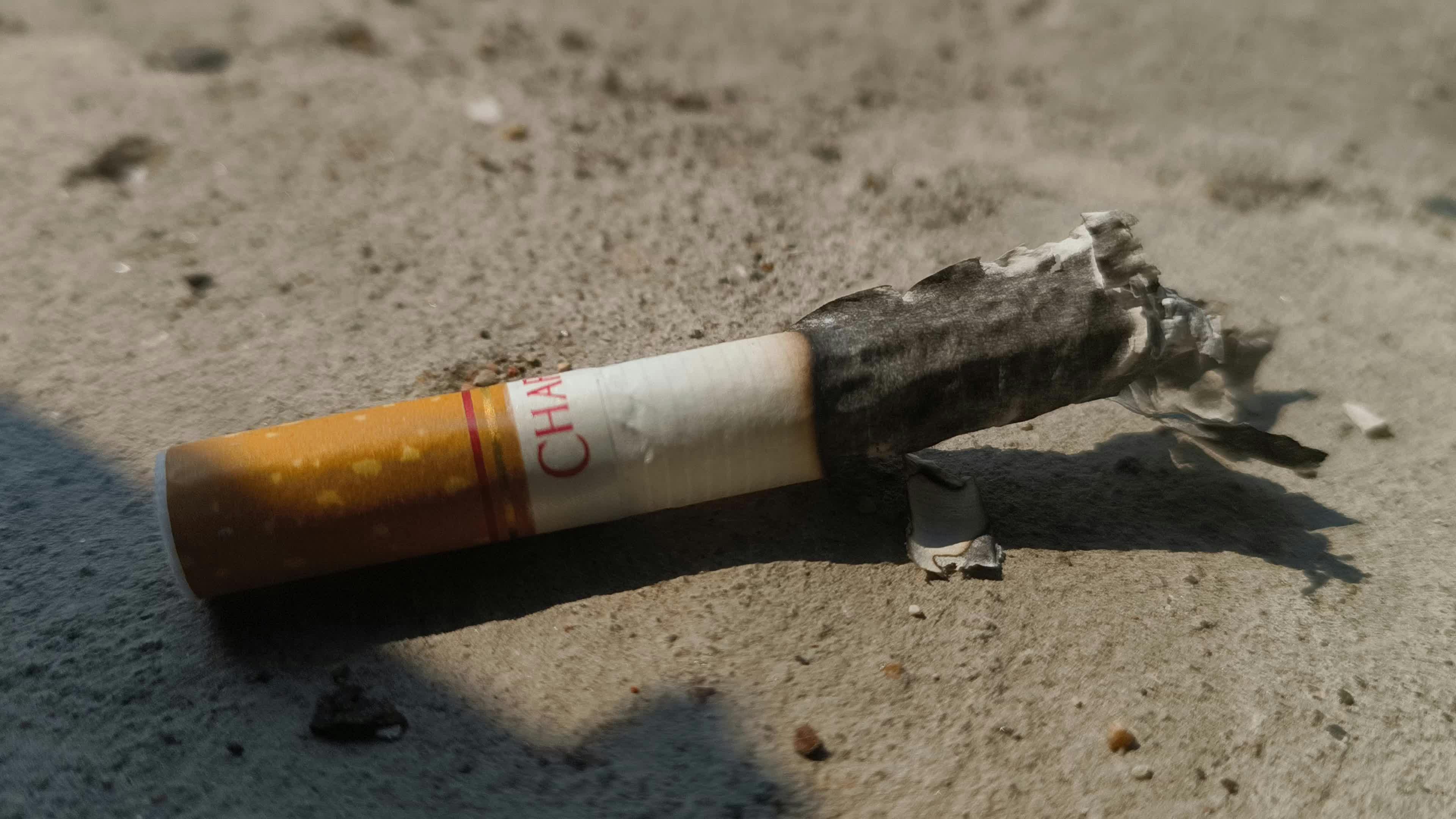 Burnt Cigarette on Ground Symbolizing Health Risks Free Stock Video ...