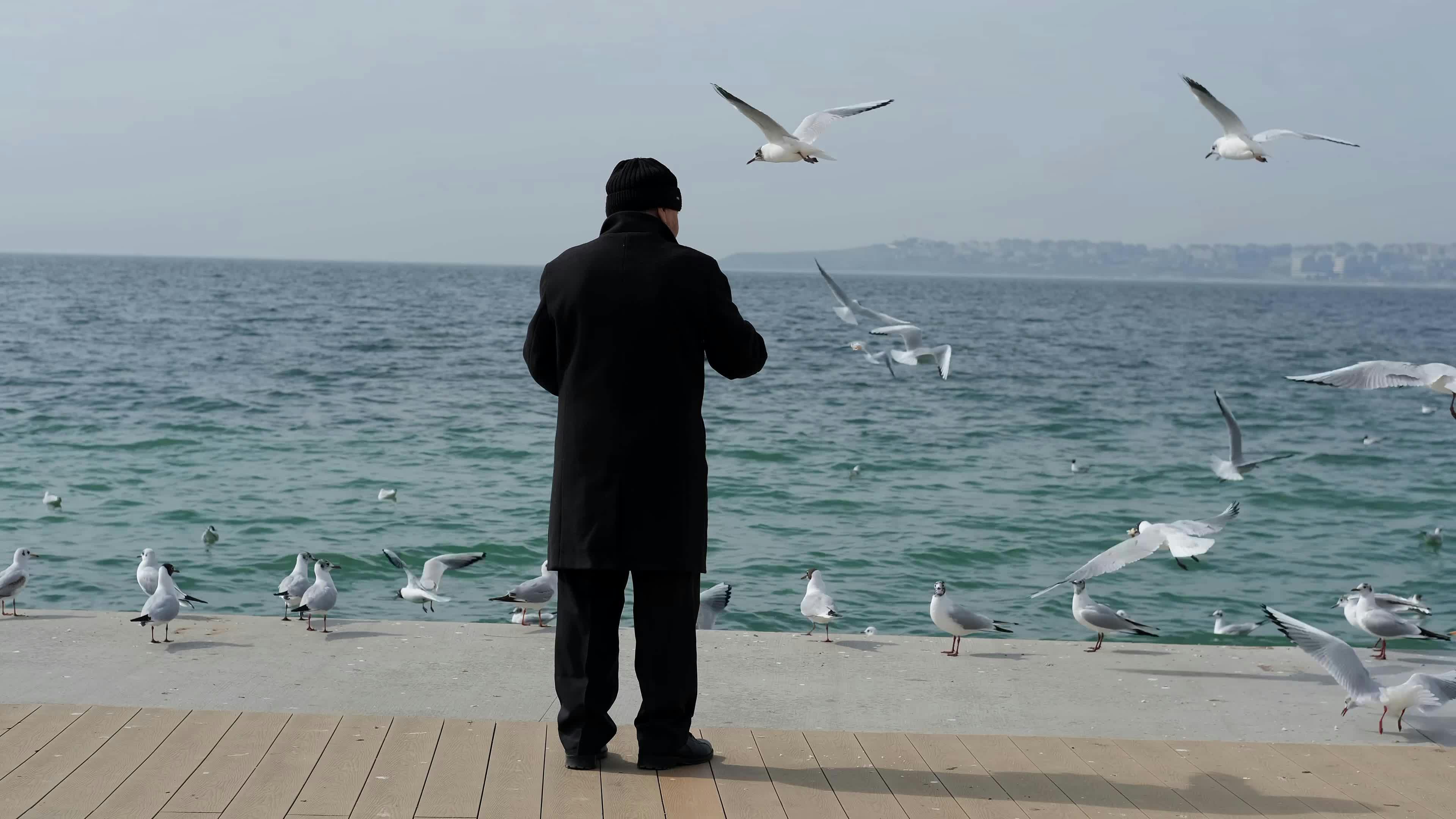 Pulp Man Videos, Download The BEST Free 4k Stock Video Footage & Pulp ...