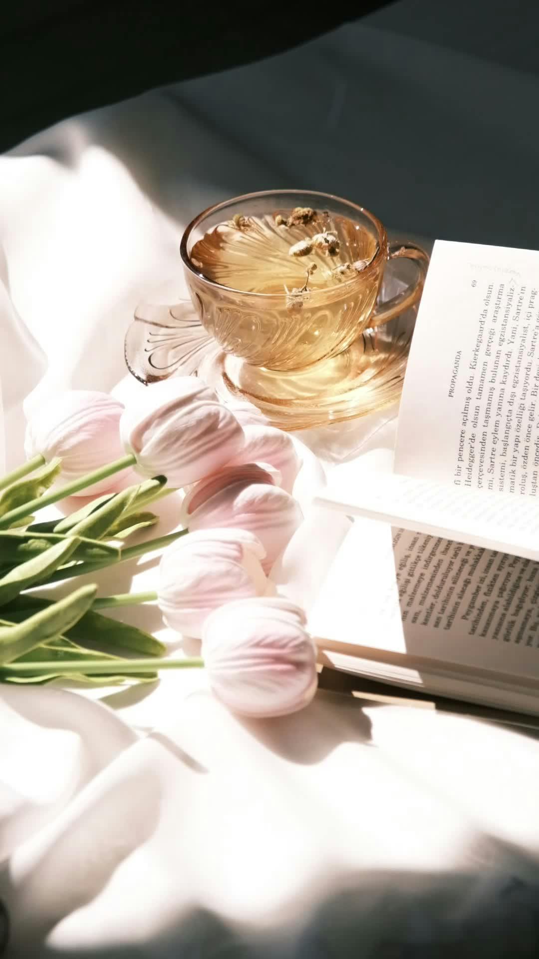 Smartphone Appar Videos, Download The BEST Free 4k Stock Video Footage ...