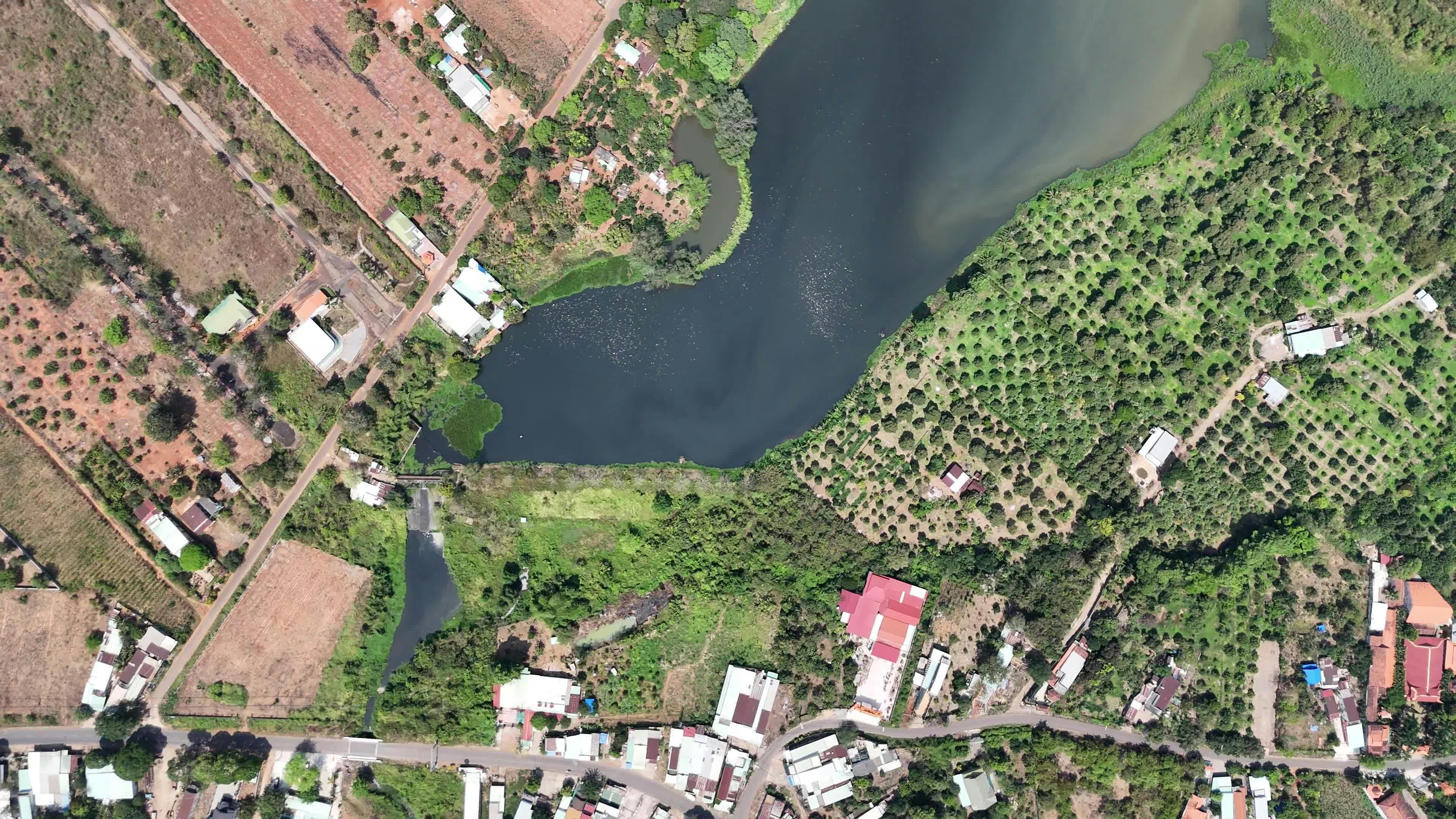 Scenic Aerial View of Lush Lakeside Landscape Free Stock Video Footage ...