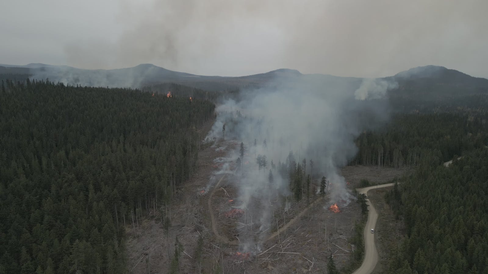 Deforestation Videos, Download The BEST Free 4k Stock Video Footage ...