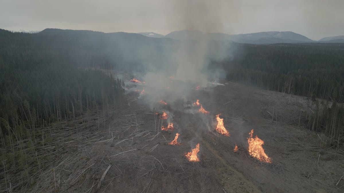 Fire Burning Videos, Download The BEST Free 4k Stock Video Footage ...