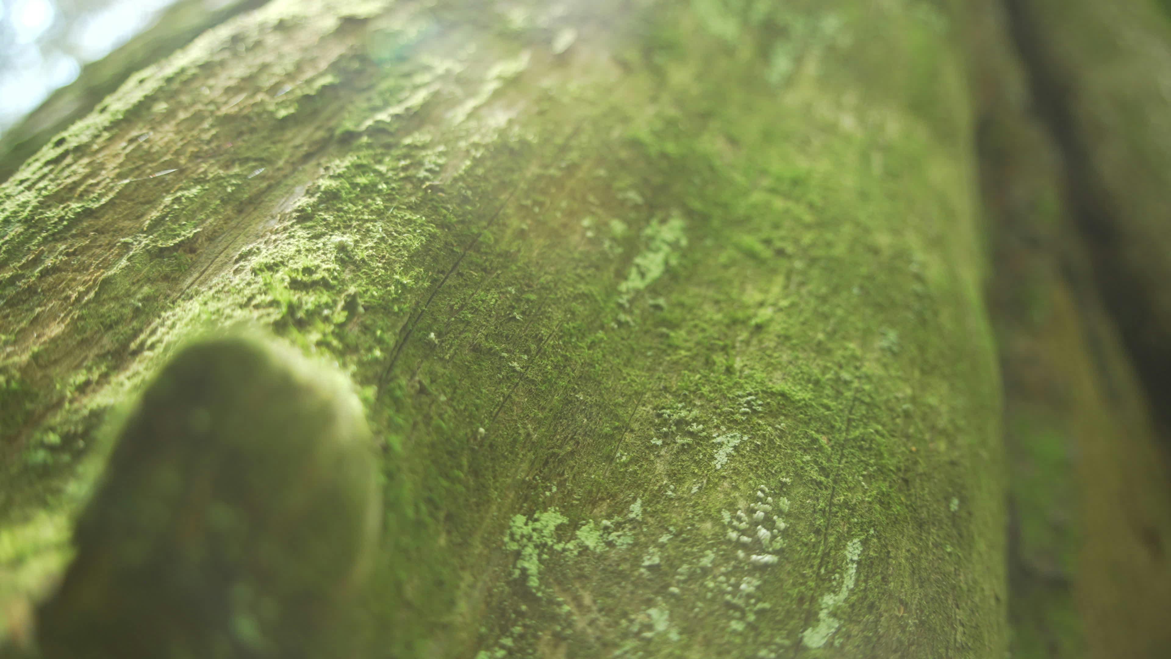 Outdoor Texture Videos, Download The BEST Free 4k Stock Video Footage ...