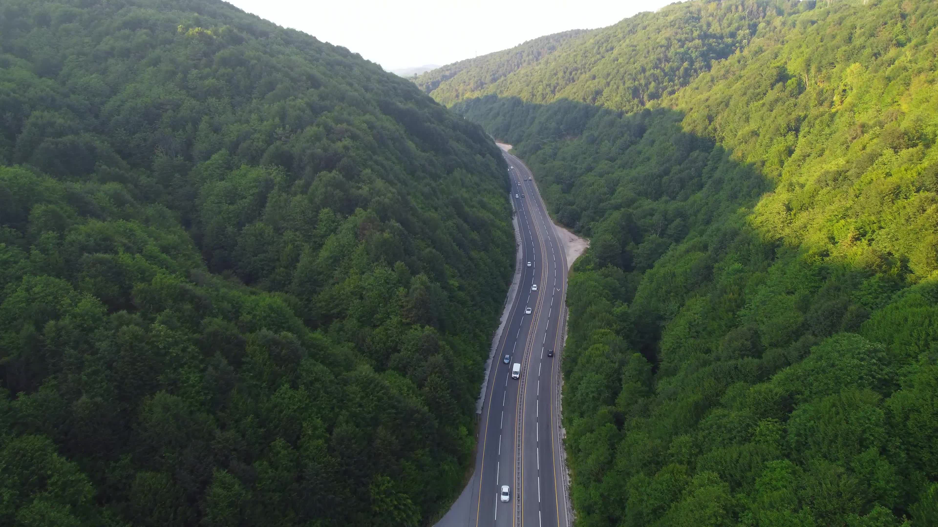 Aerial View of Forested Roadway in Summer Free Stock Video Footage ...