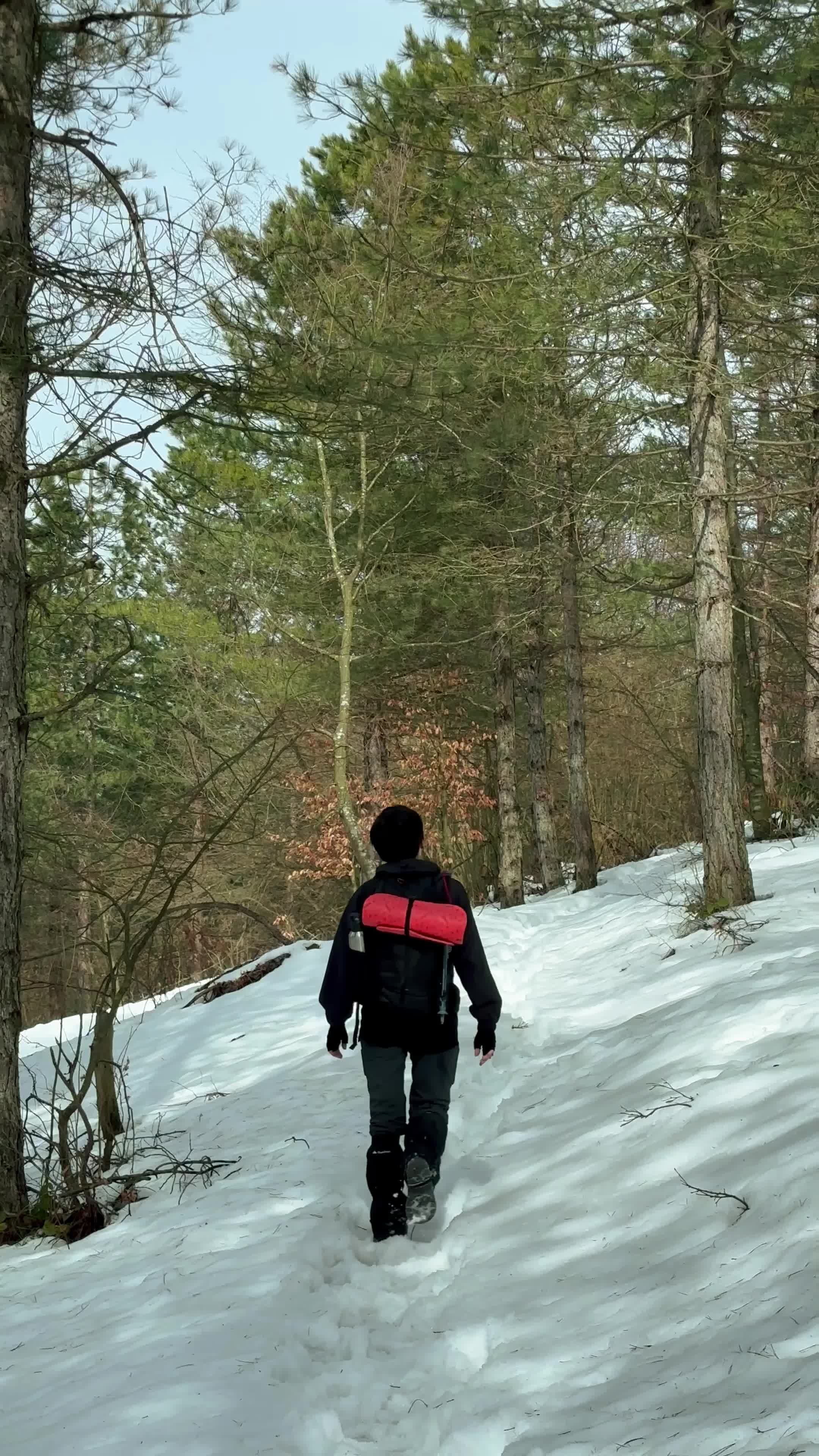 Hiking Winter Videos, Download The BEST Free 4k Stock Video Footage ...