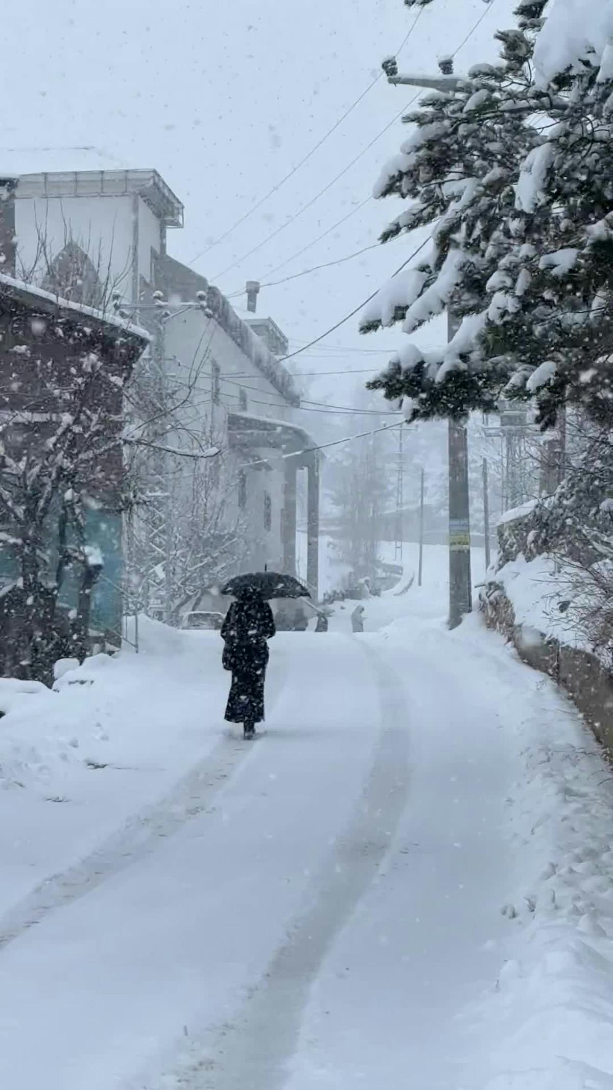 Popular+Now+On+Bin+Fcctng+Video+Downloader+For+ Videos, Download The ...